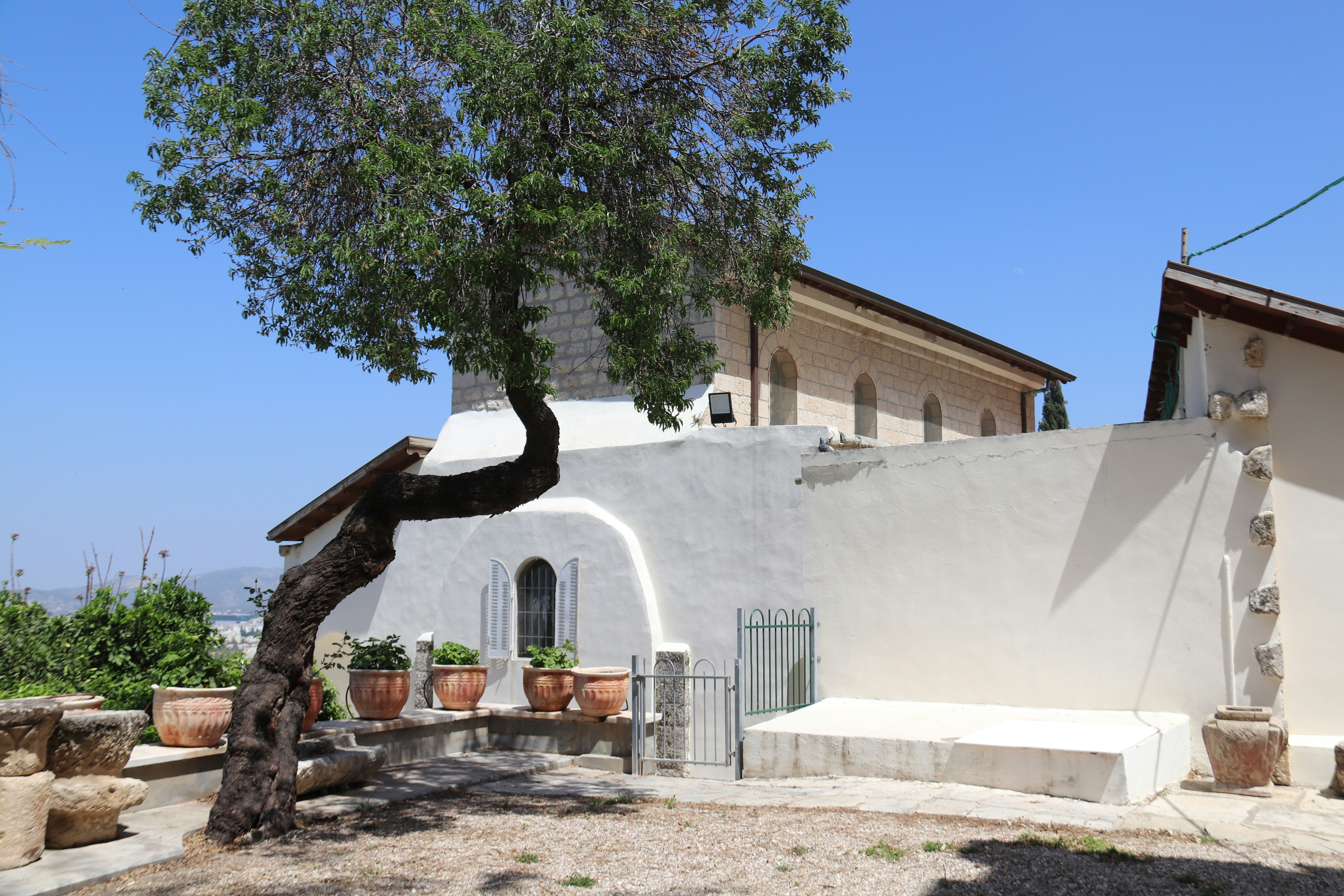 A tree in front of a white building photo – Free Beit jimal Image on ...