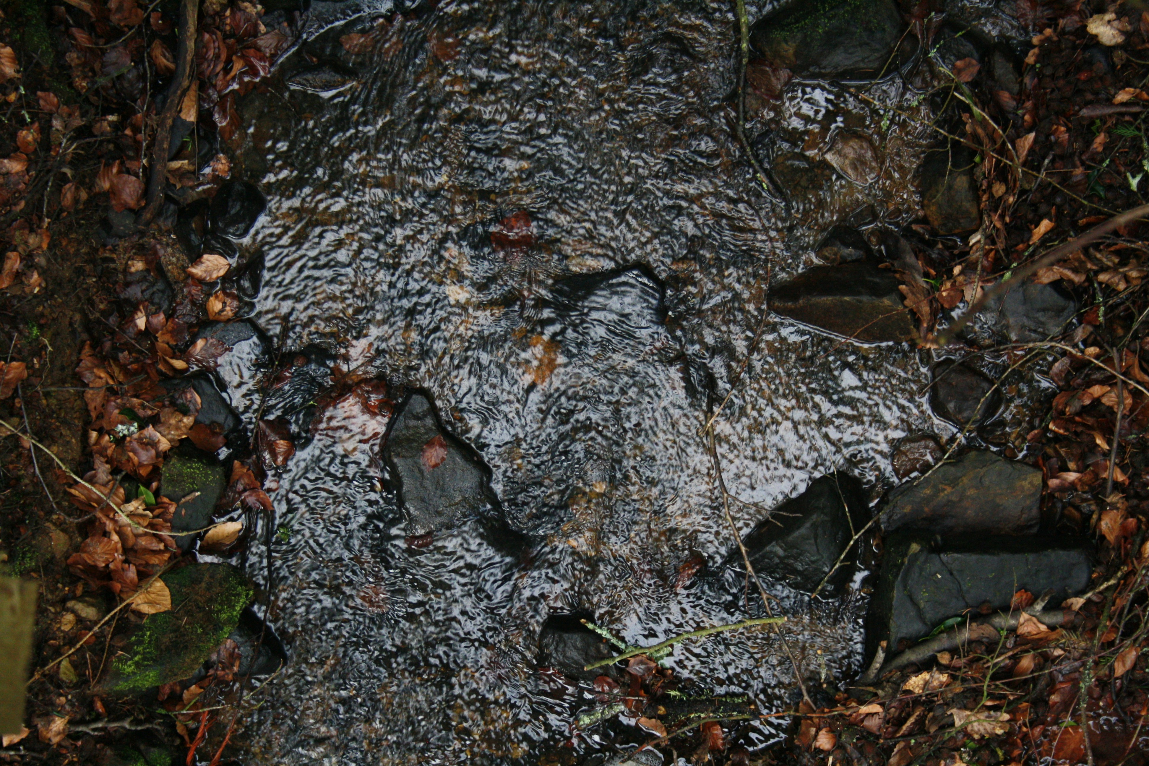 Clear water flows over smooth stones, surrounded by autumn leaves and earthy tones. The image captures the serene essence of a forest stream.