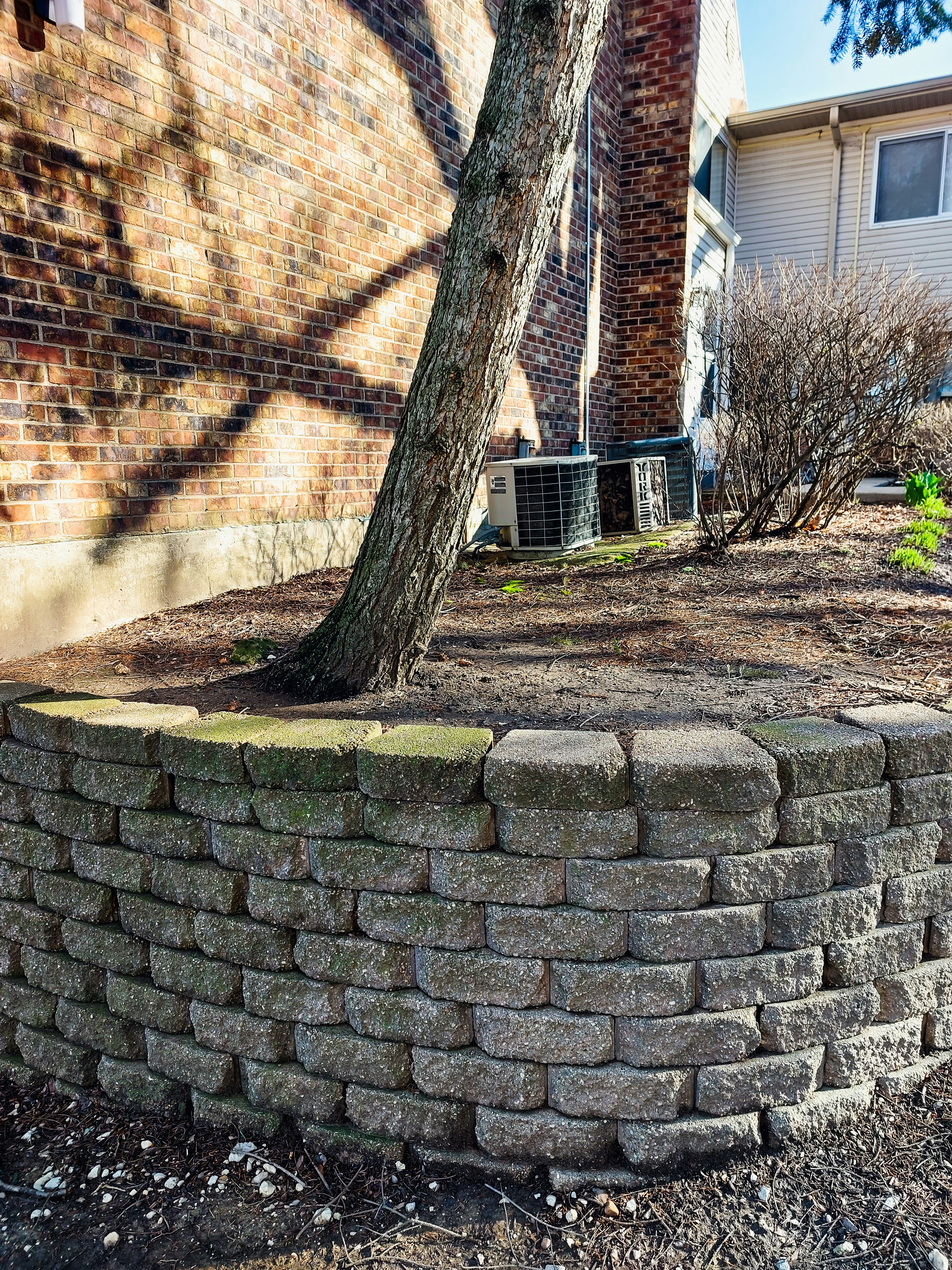 A Quiet Corner of the Brick Garden with a Leaning Tree