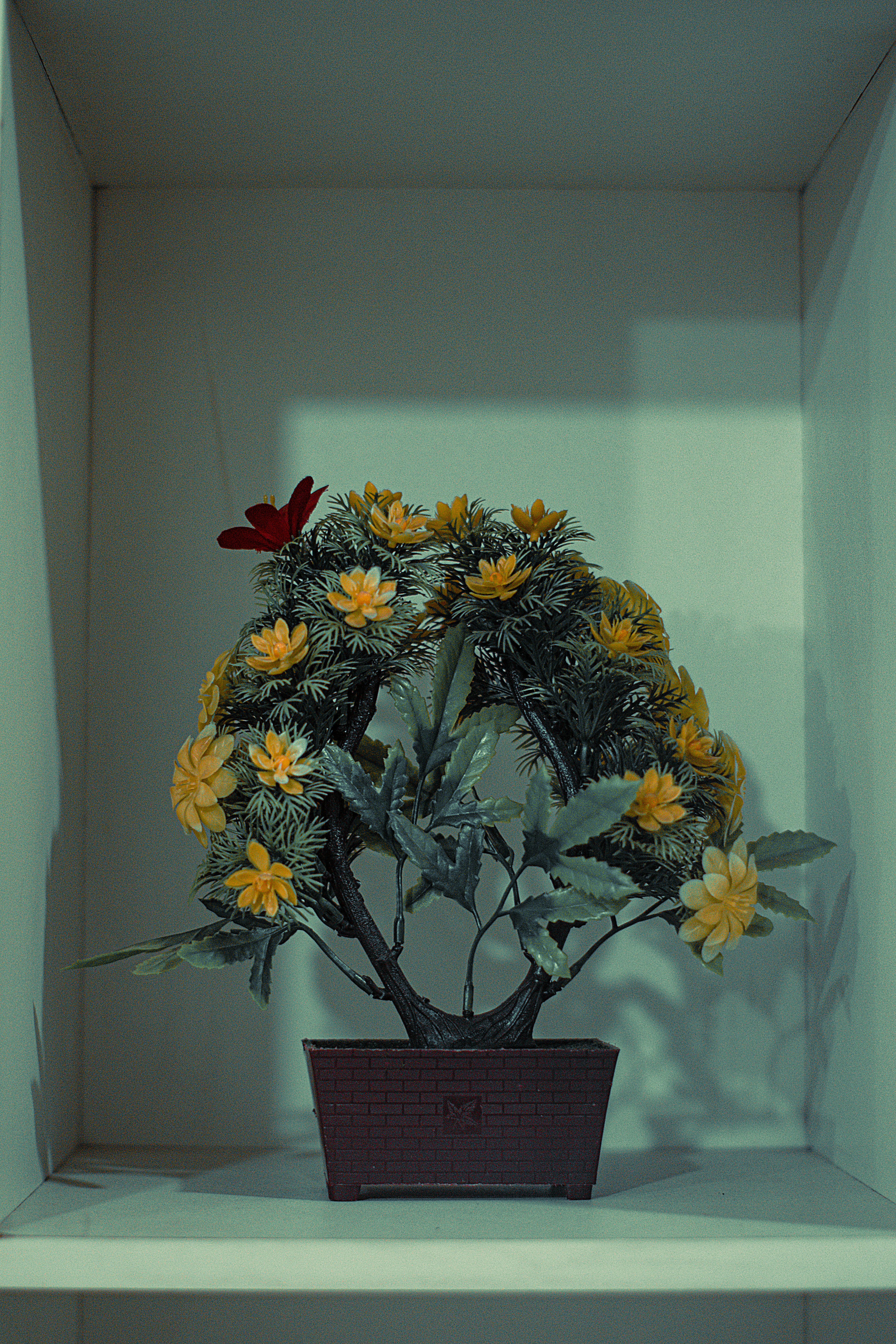 Petite Shelf Garden: Yellow Flowers in a White Cubby