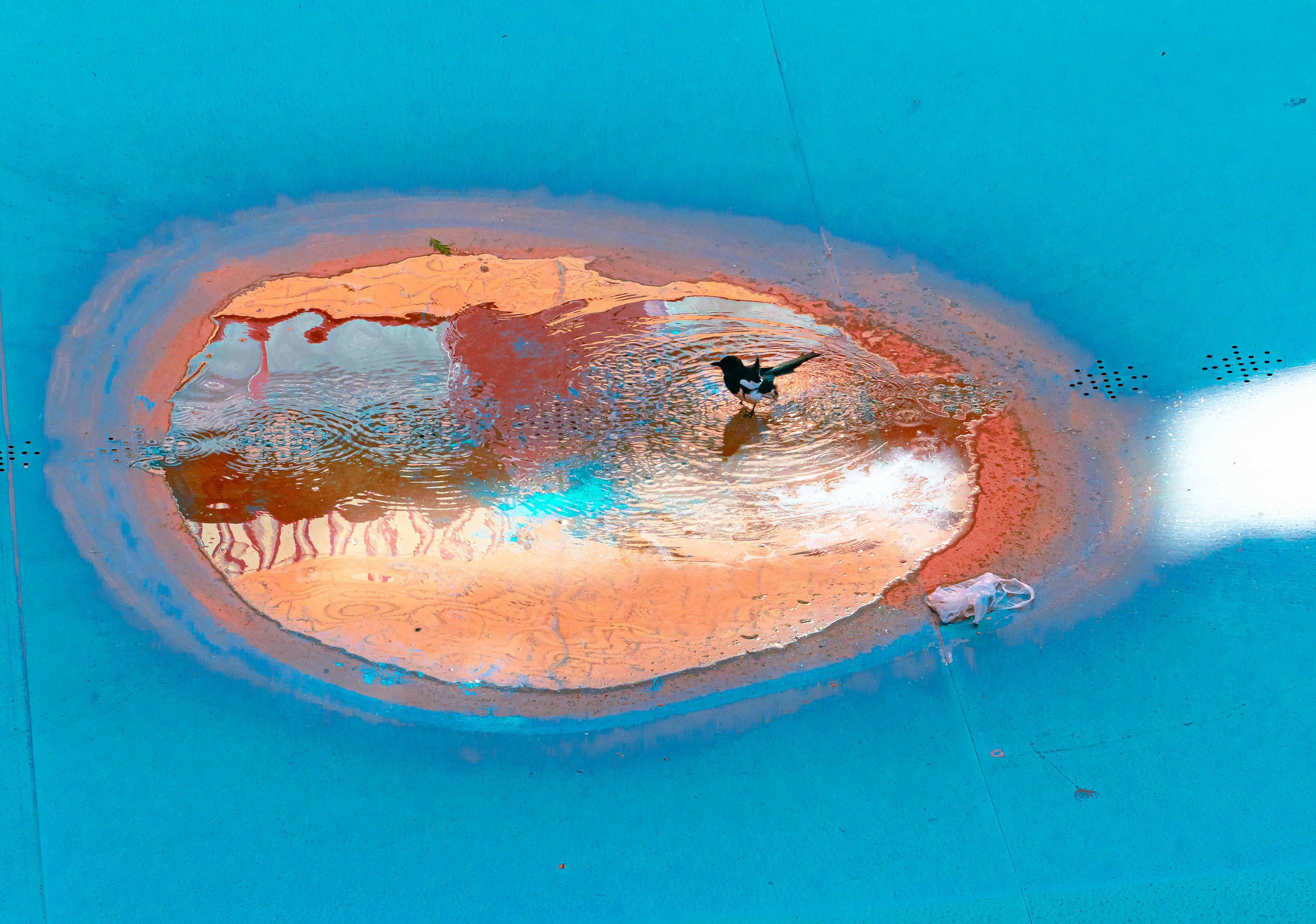 Rusted Ring in Electric Blue: a Quiet Metal Portrait