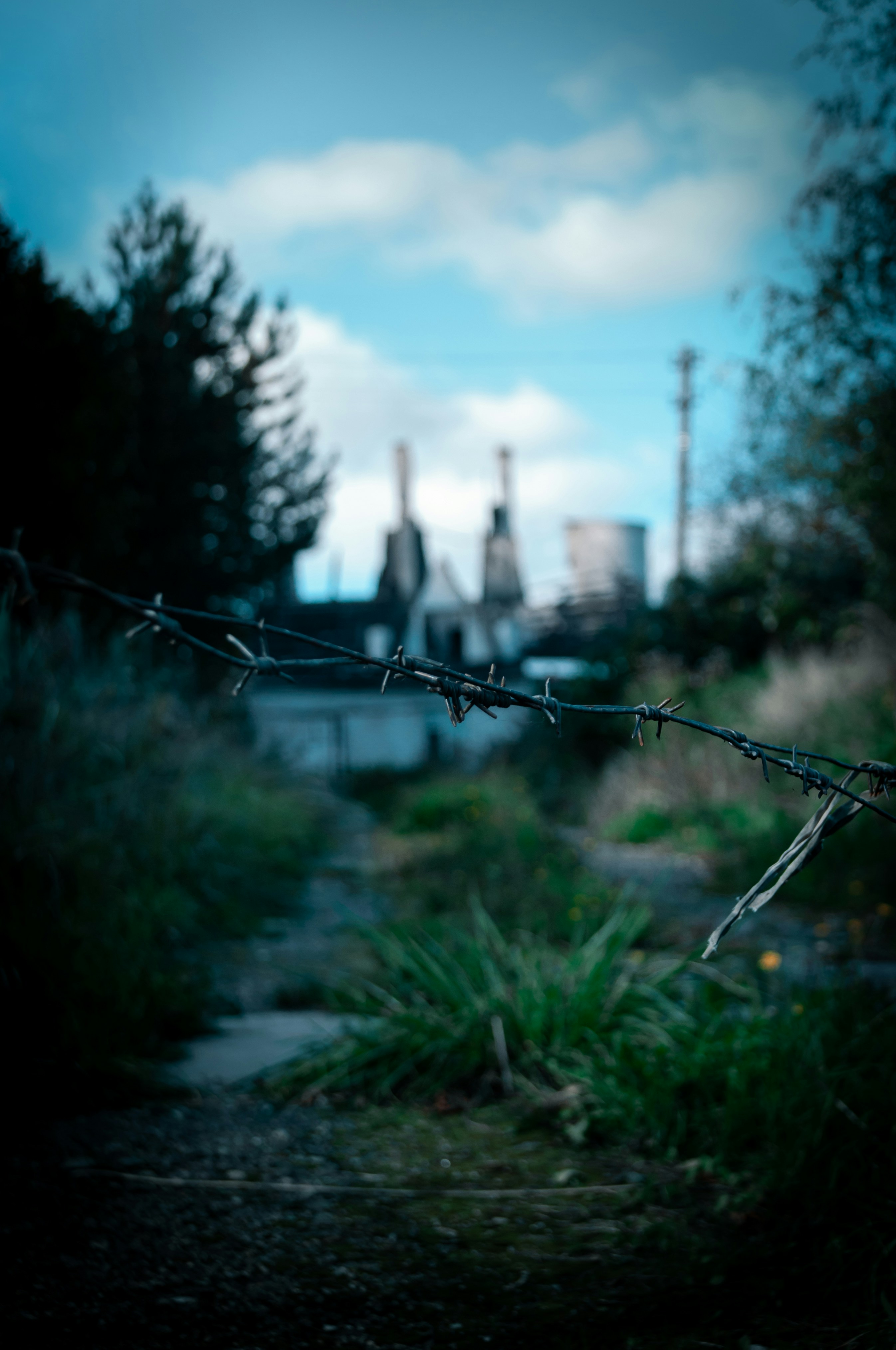 Barbed Horizon: Sharp Foreground, Soft City Blur