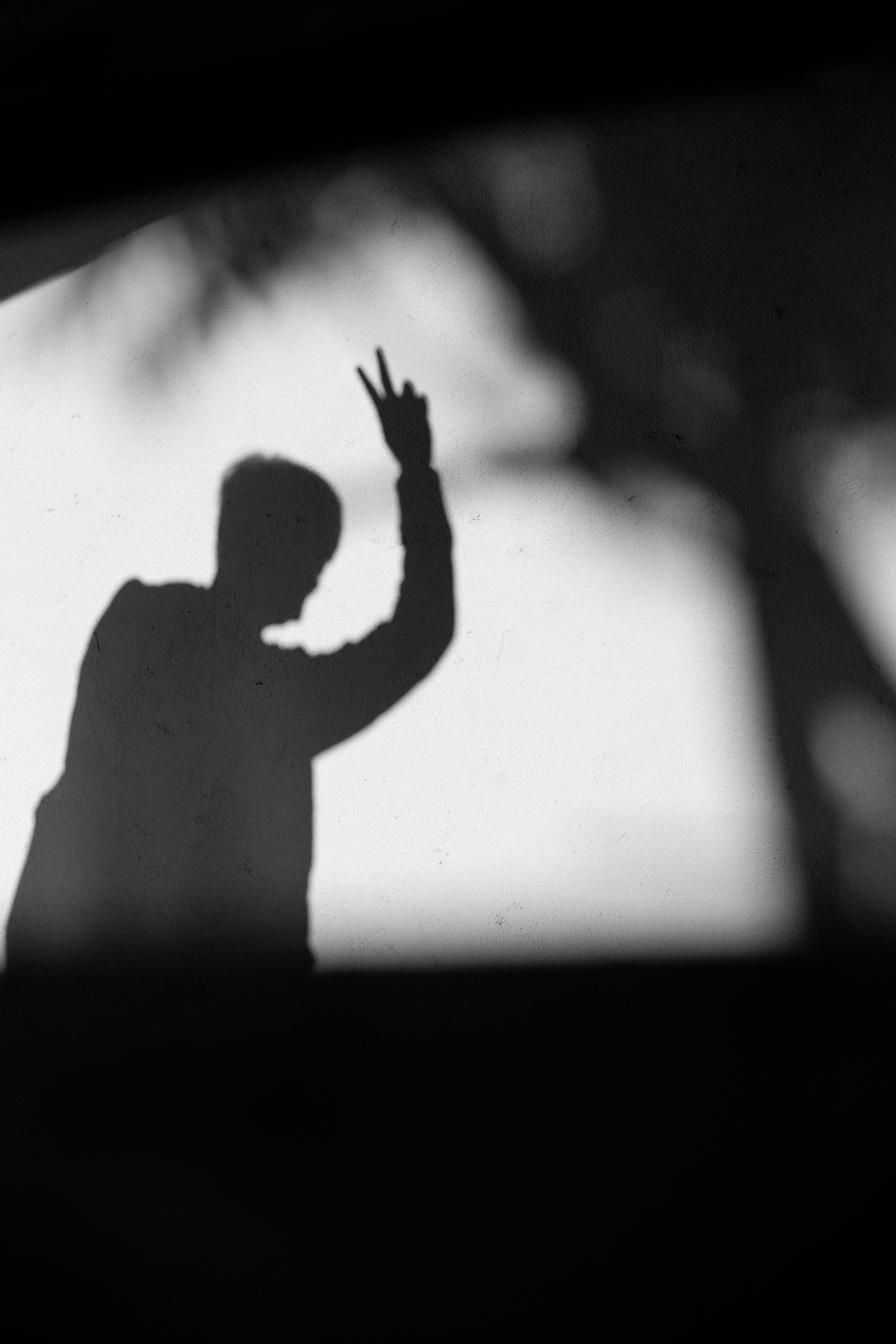 Silhouette of a person making a peace sign, cast against a softly blurred background with foliage. The image conveys a sense of calm and positivity.