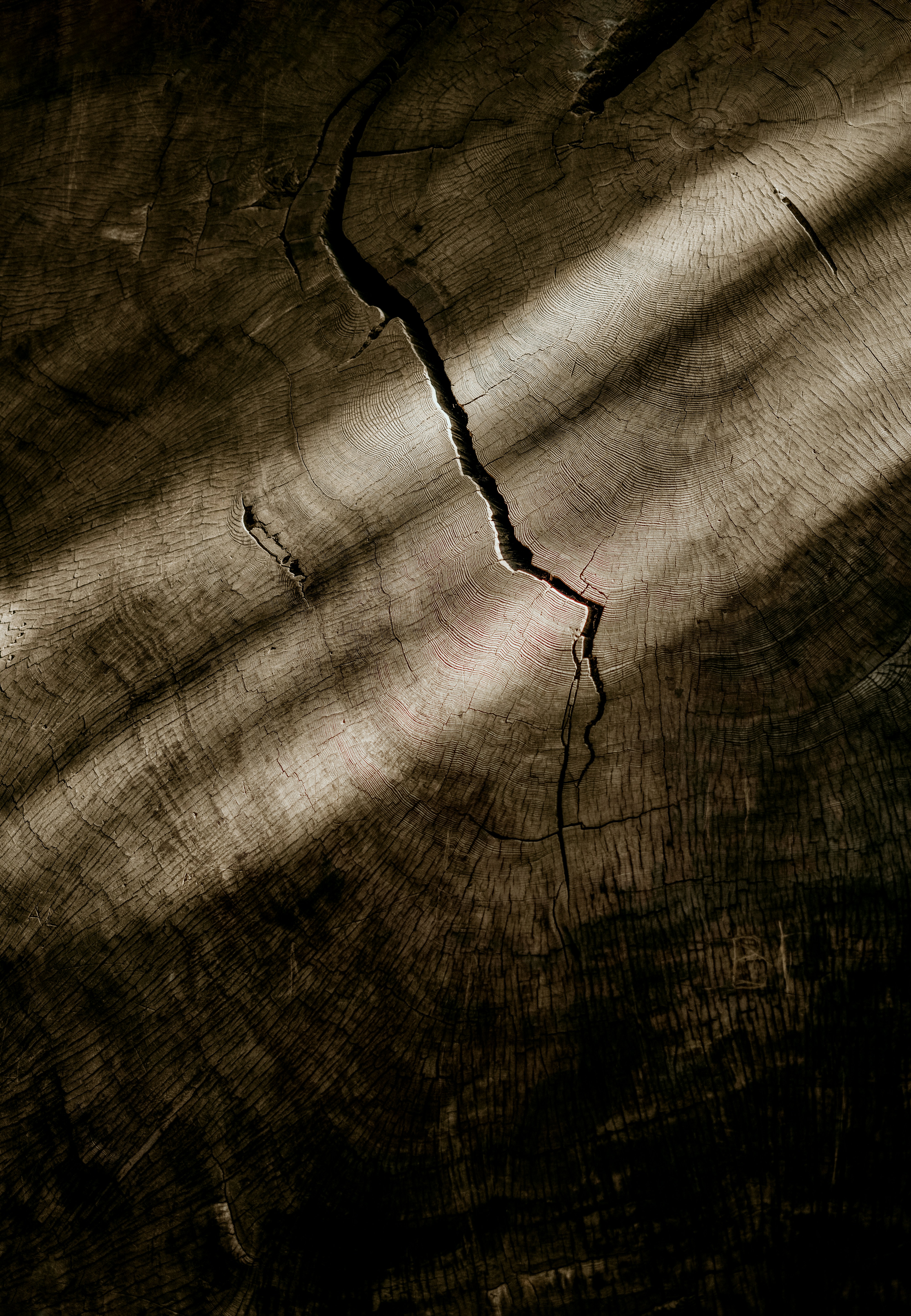 Foto zum Thema Ein Stück Holz, das halbiert wurde – Kostenloses Bild zu ...