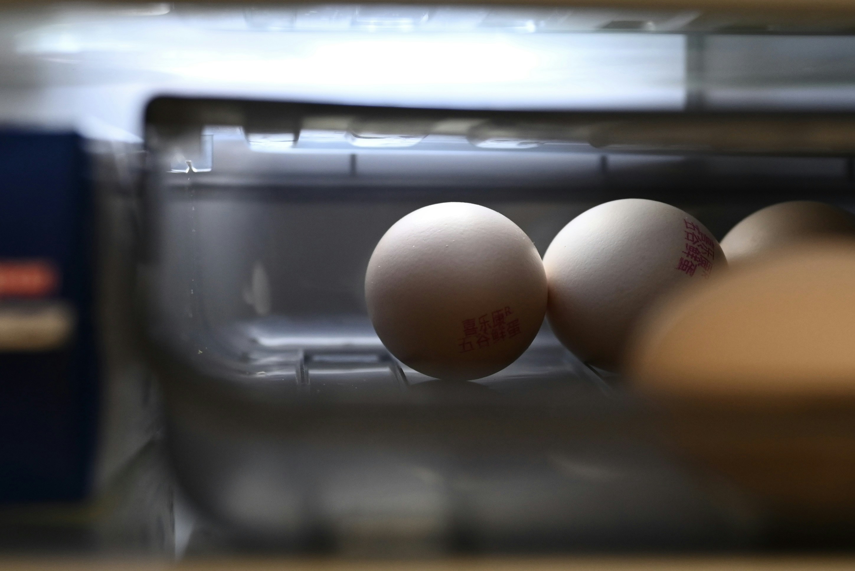 two eggs in an open refrigerator with a blurry background