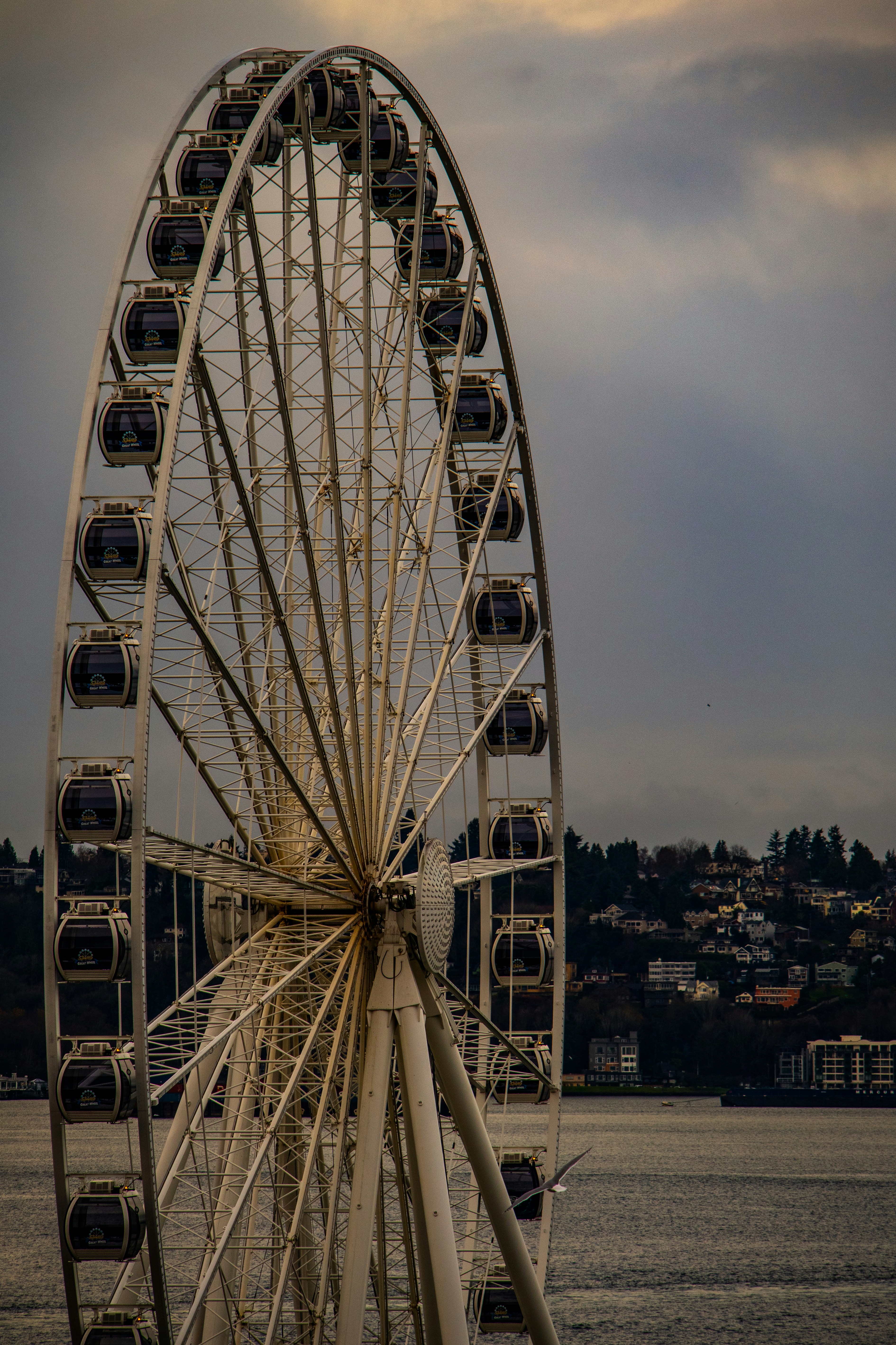 Une grande roue au milieu d’un plan d’eau photo – Photo Seattle ...