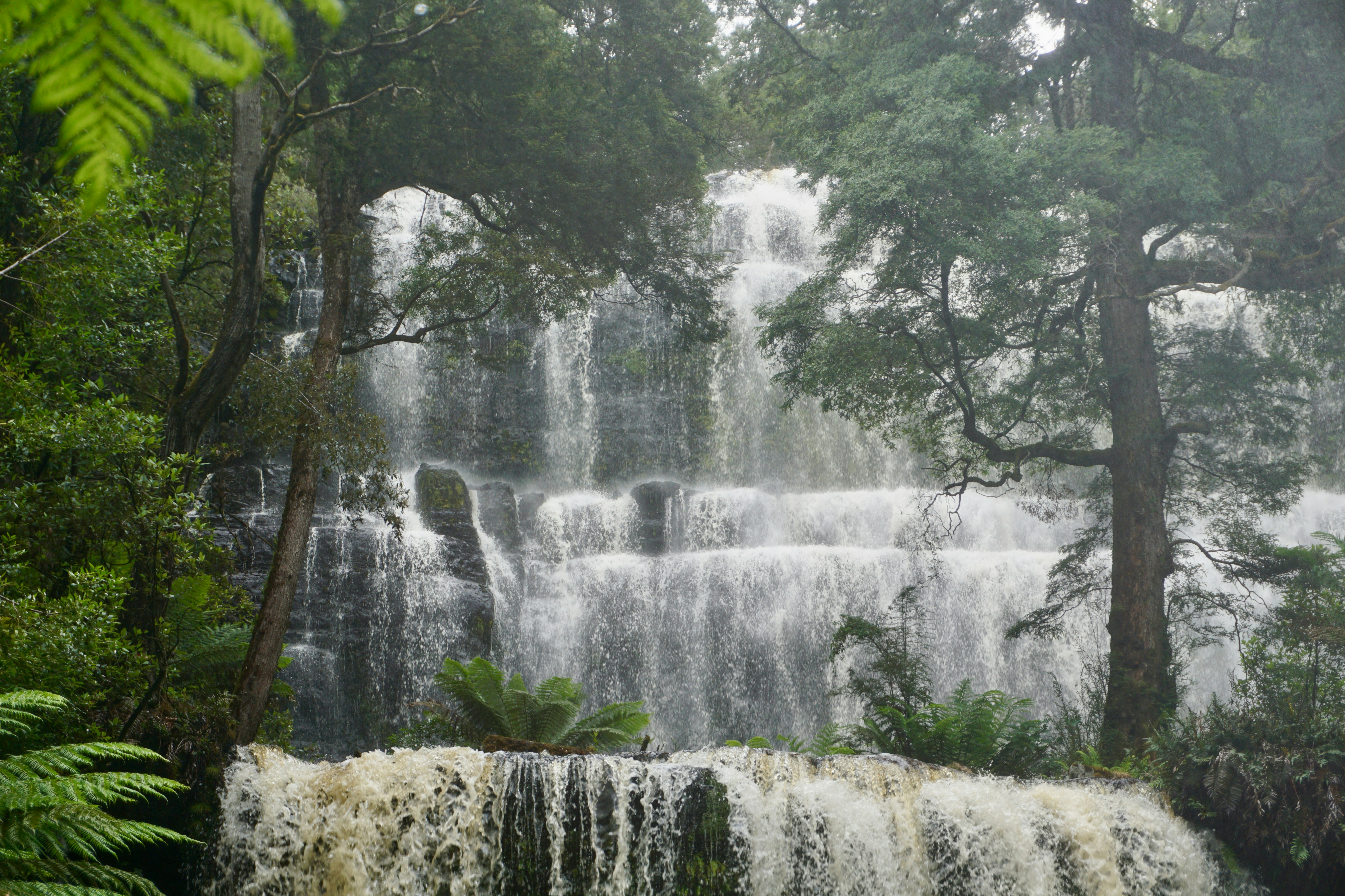 Emerald Veil: Cascade Through a Moss-Kissed Forest