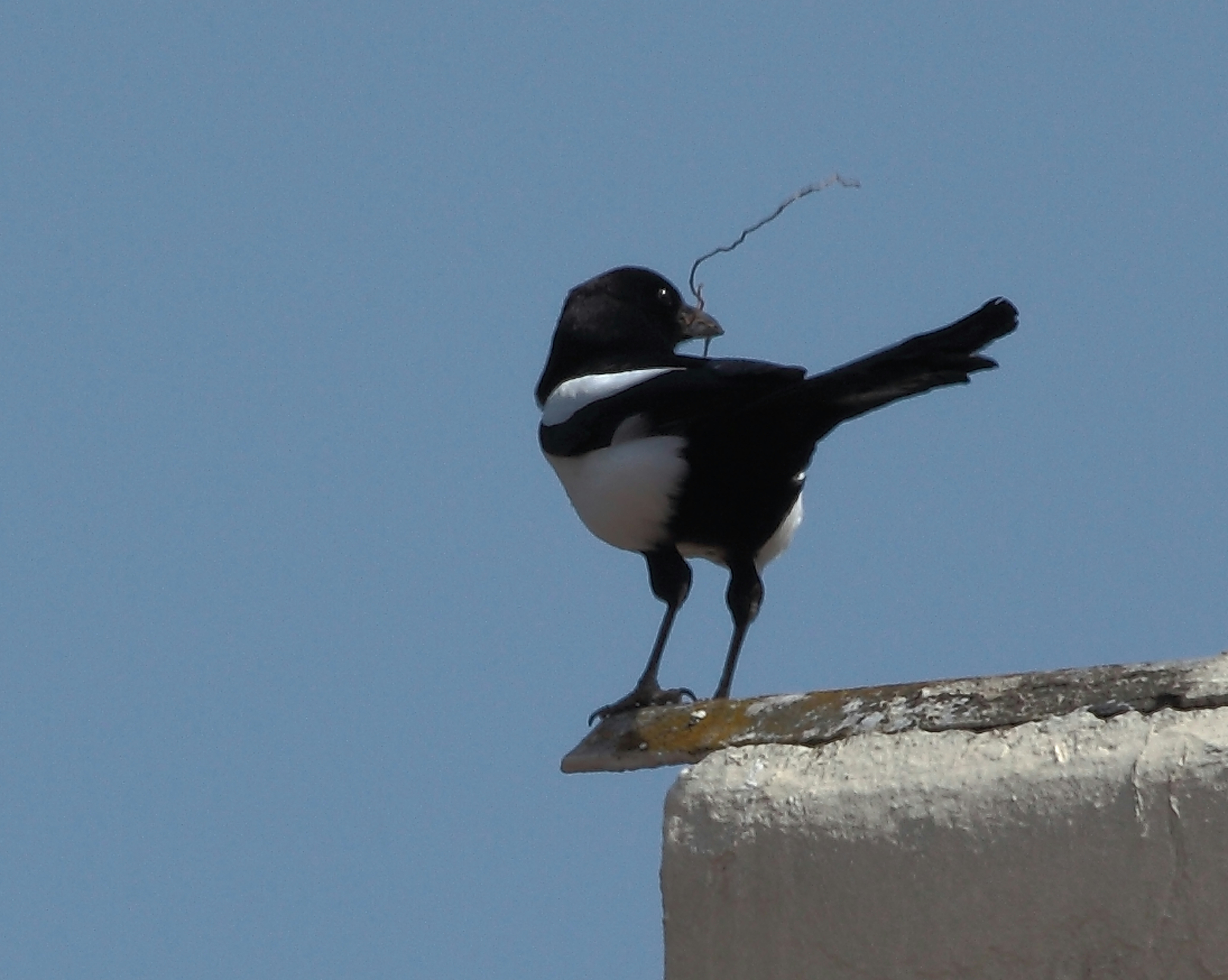 Photo by Vasilis Caravitis with Canon EOS 5D Mark II