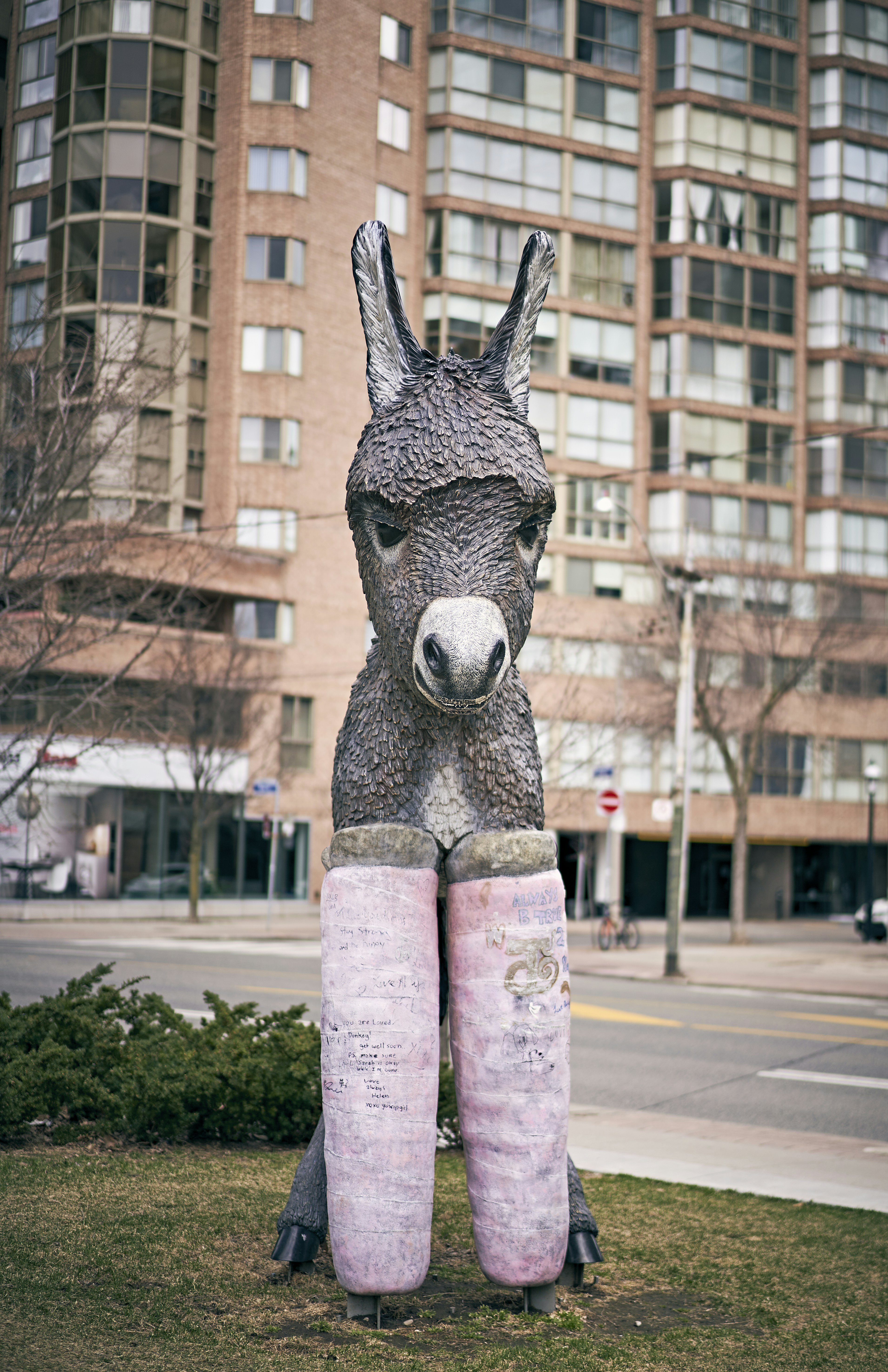 Urban Donkey Sentinel: A Whimsical Statue Framed by Modern Towers