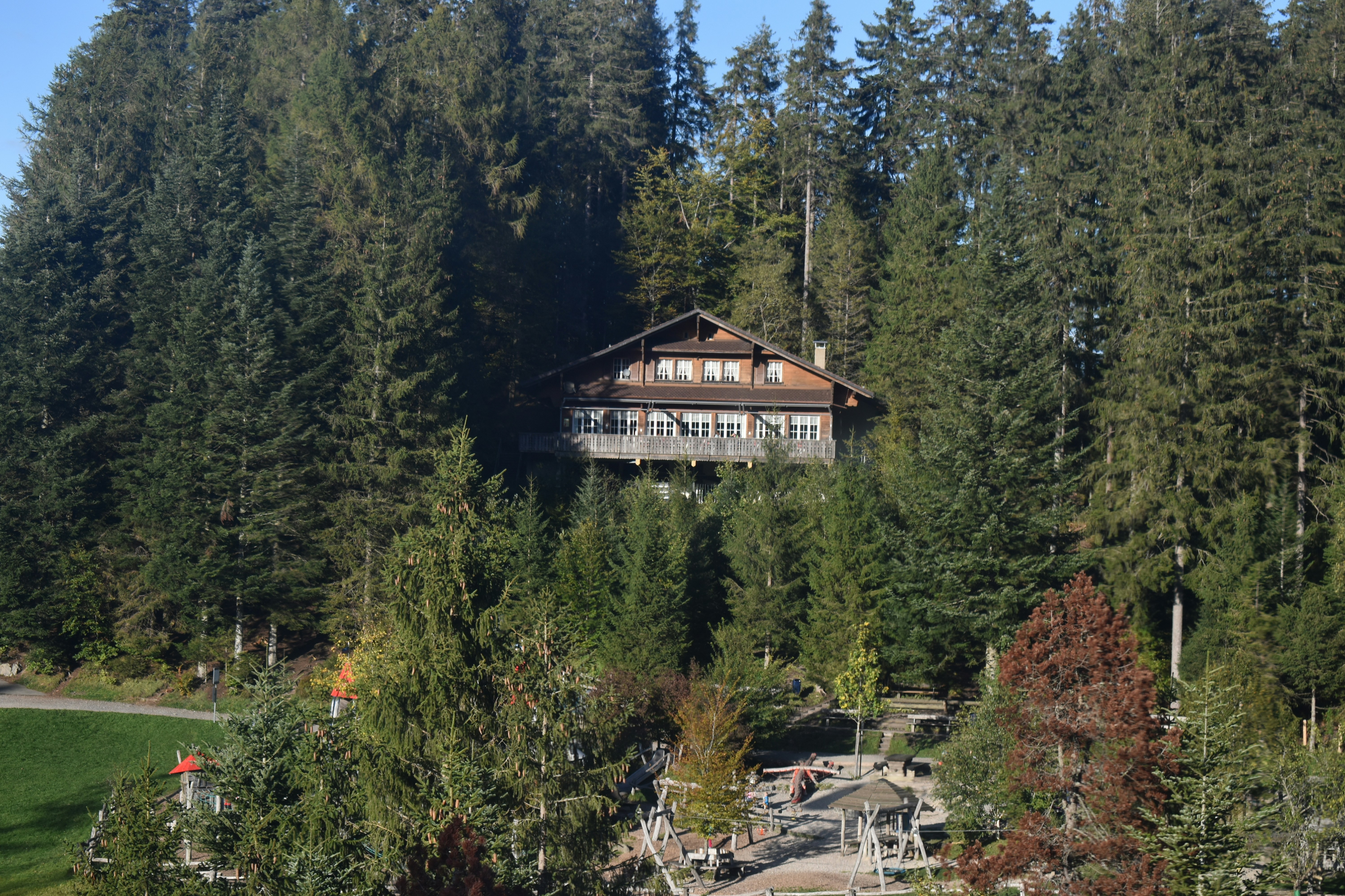 A rustic lodge nestled among tall evergreen trees, offering a serene escape in nature. The surrounding greenery enhances the lodge's warm wooden architecture.