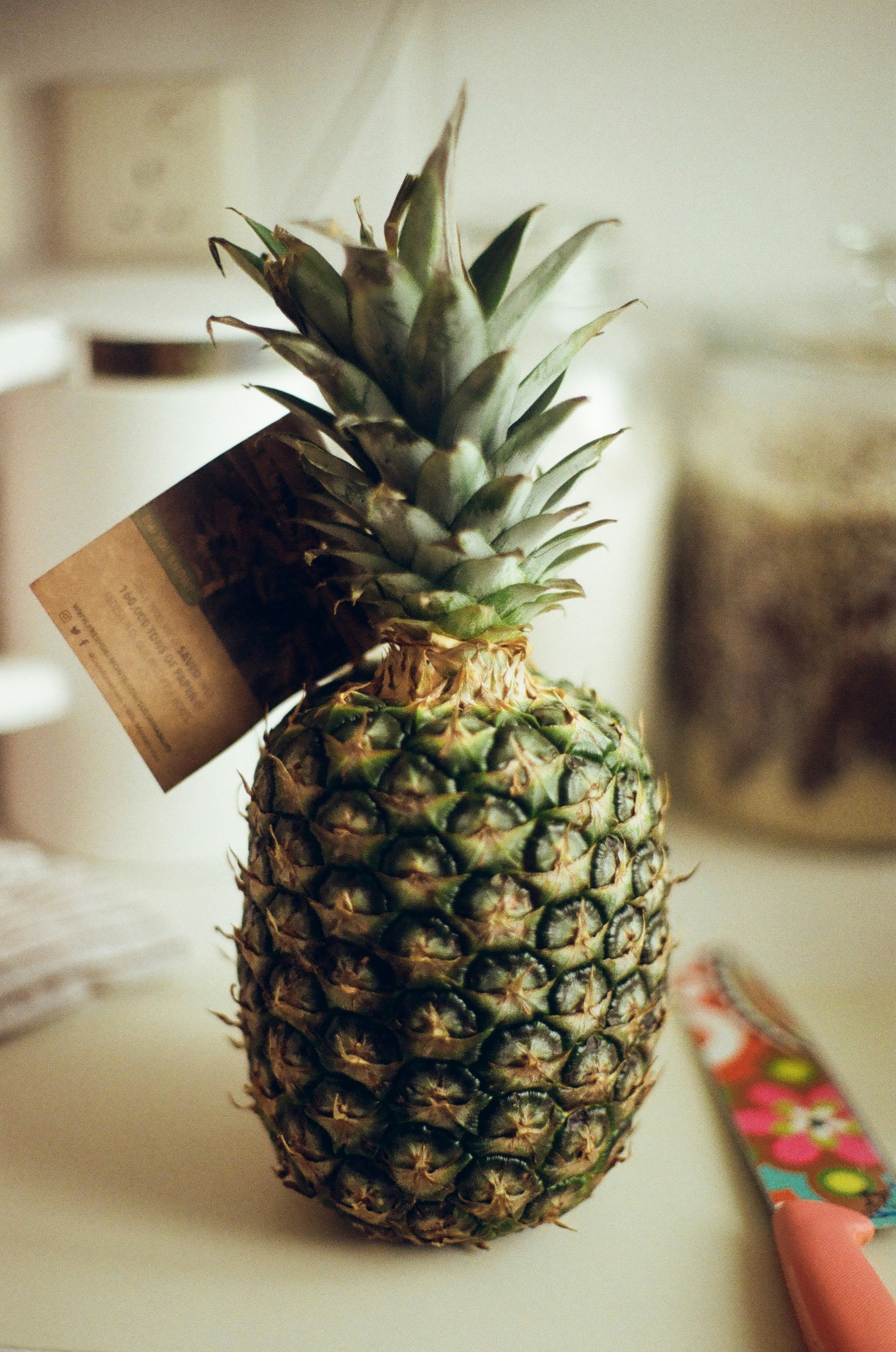 Pineapple on a Kitchen Counter, Tag Card Swinging from Crown