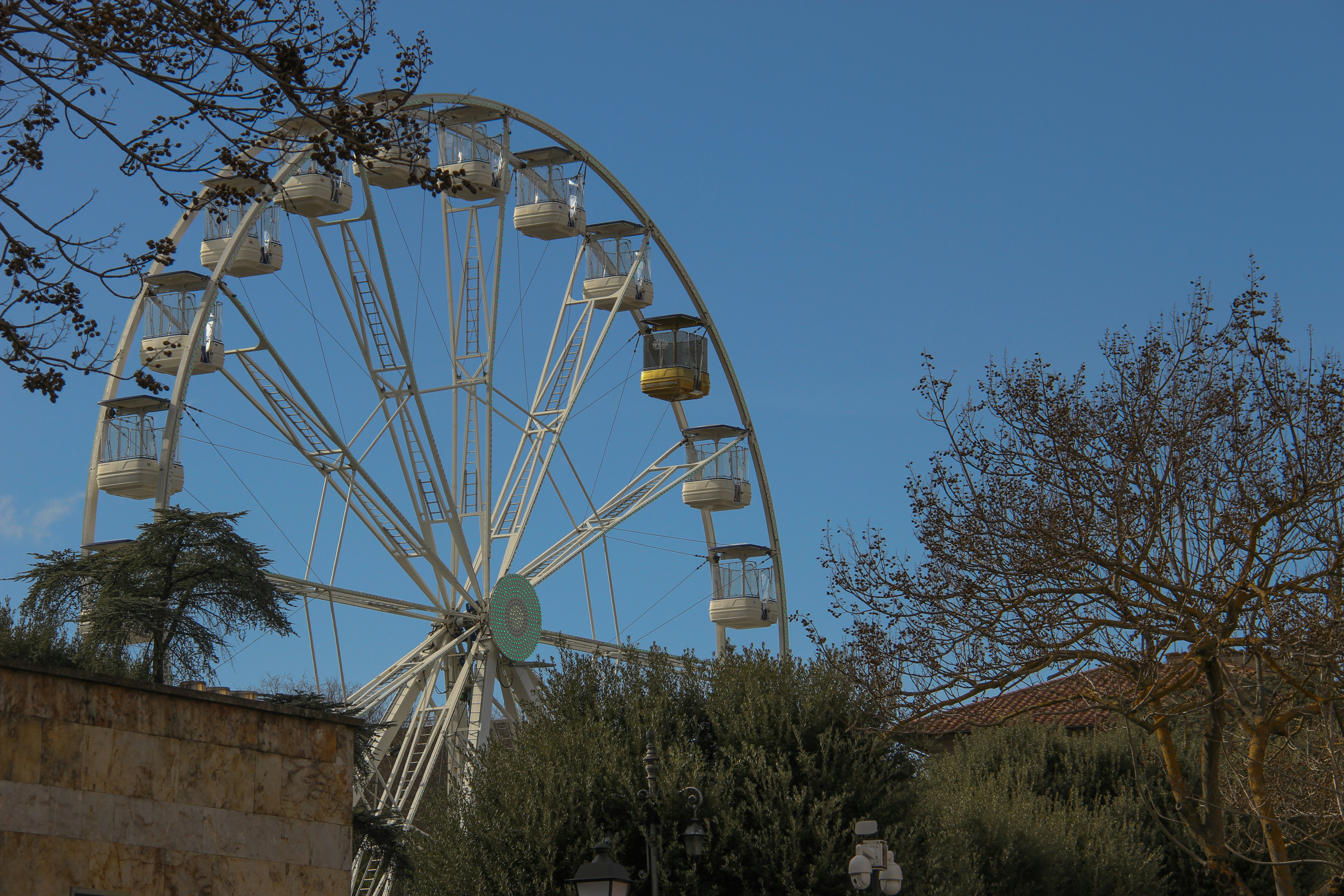 Skyward Wheel Amidst Winter Branches