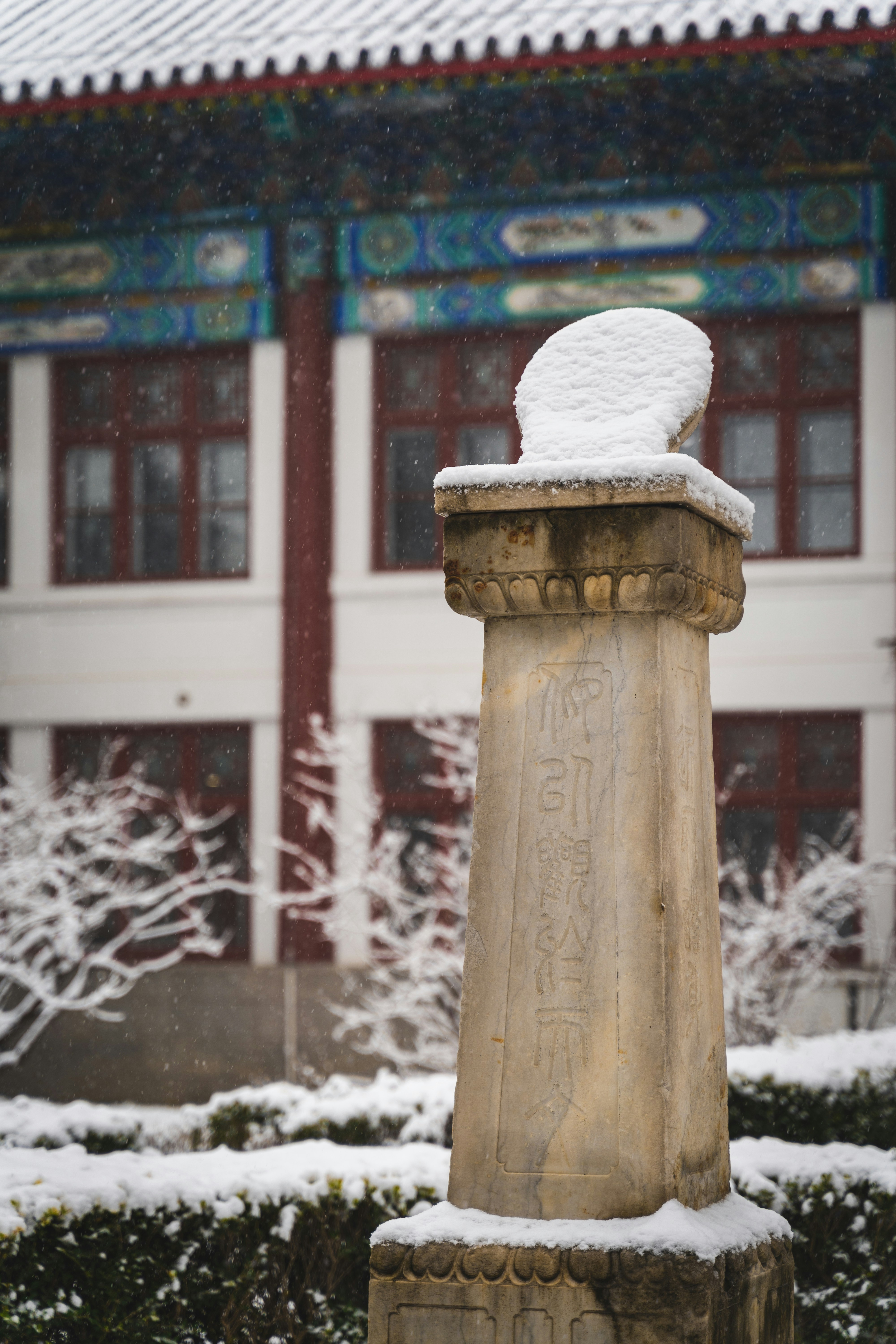 Ningyu (@hnyuuu) | Unsplash Photo Community