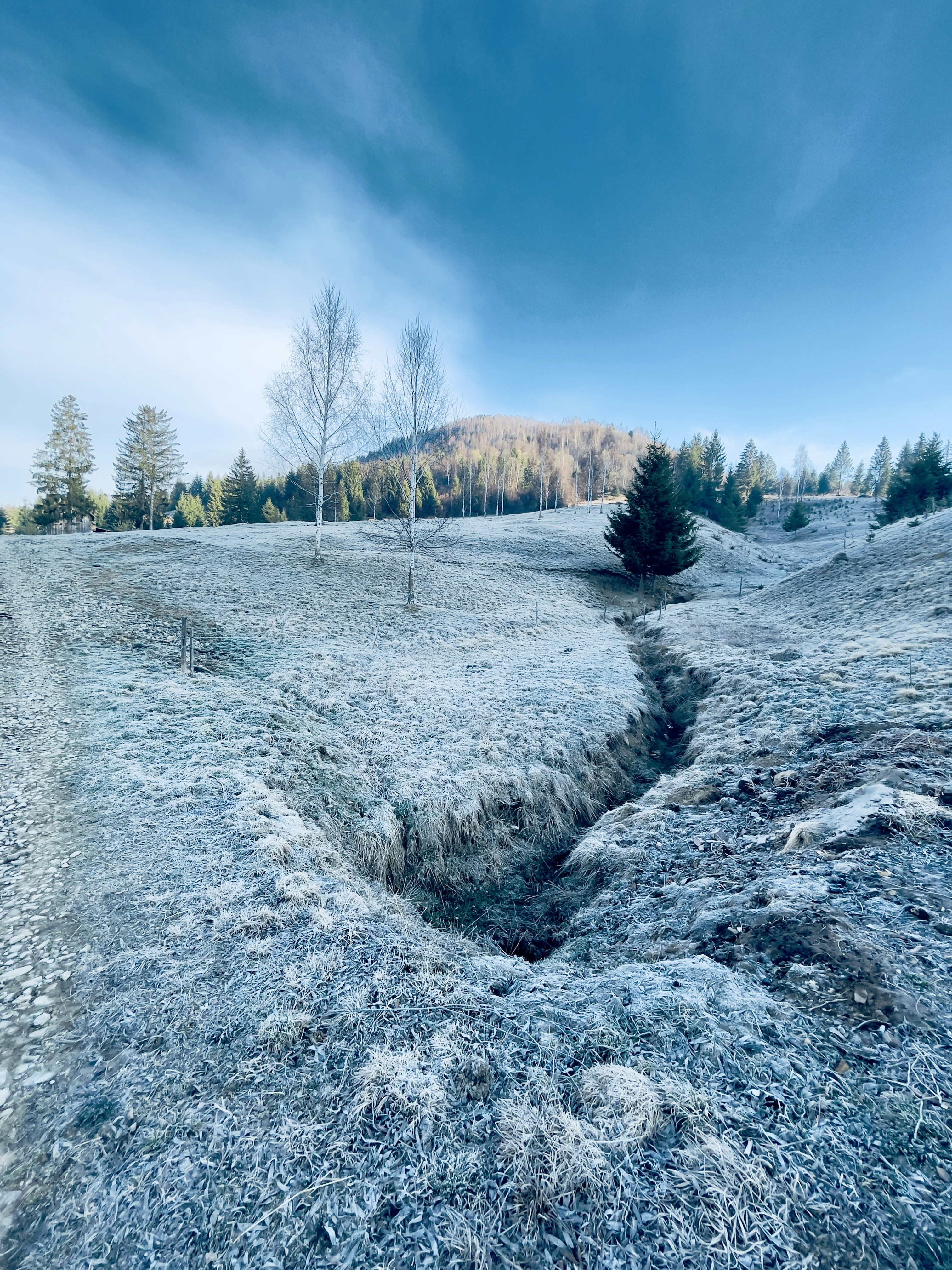 a snow covered field with a tree in the distance