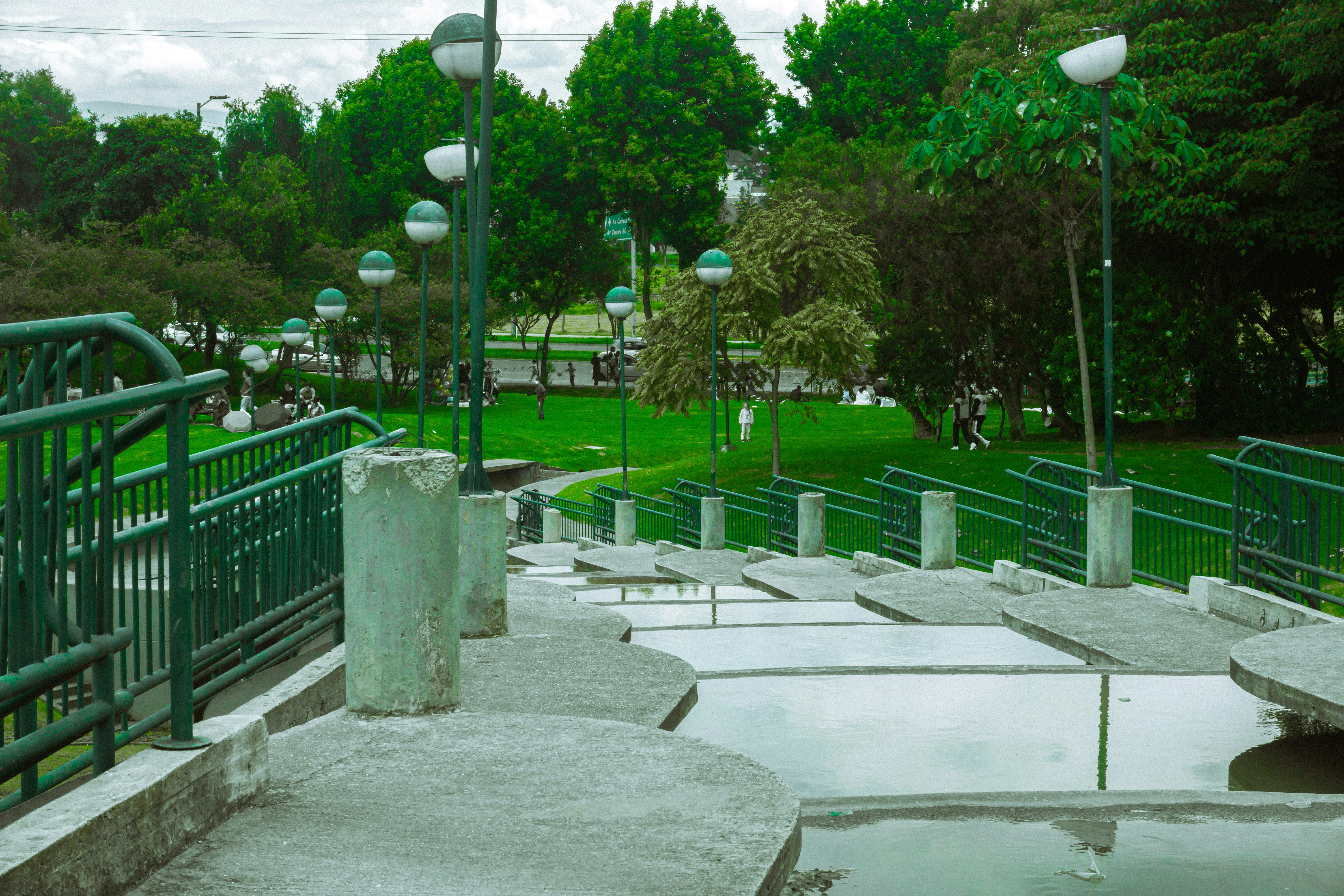 Un parque lleno de muchos árboles verdes foto – Imagen de Verde ...