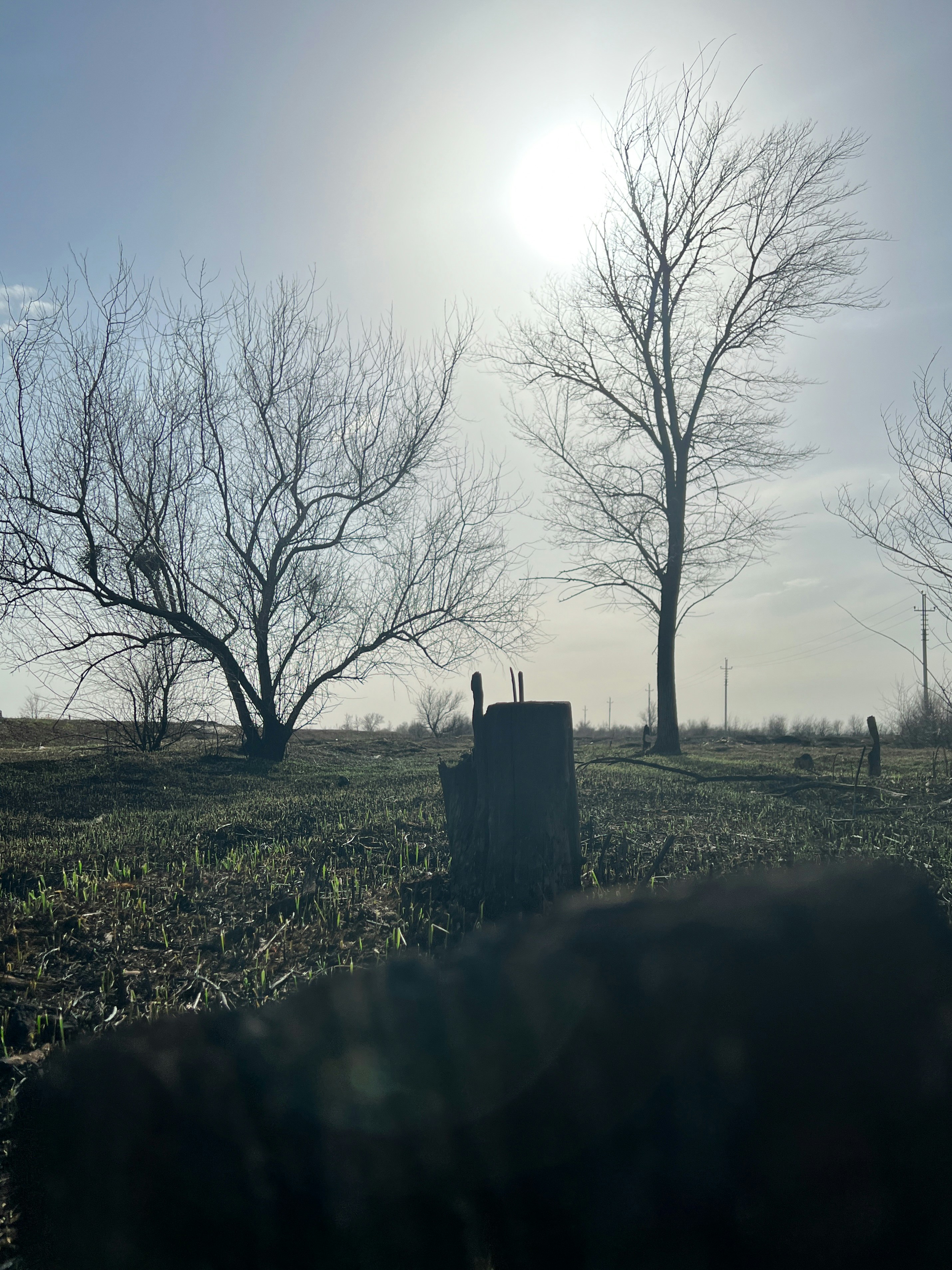 Apocalypse Pictures | Download Free Images on Unsplash