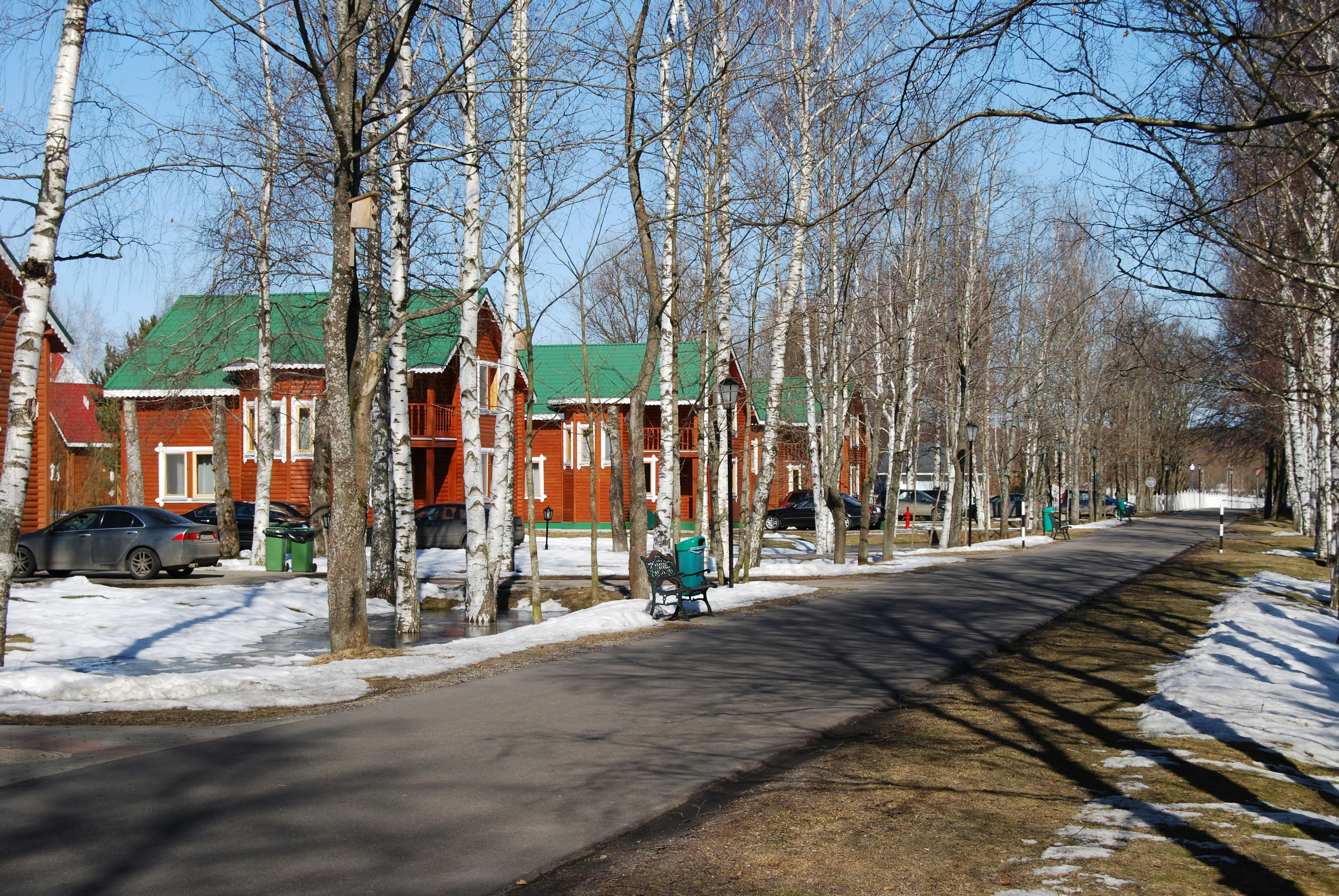 Row of quaint wooden houses with green roofs lining a snowy street, framed by tall birch trees in early spring.
