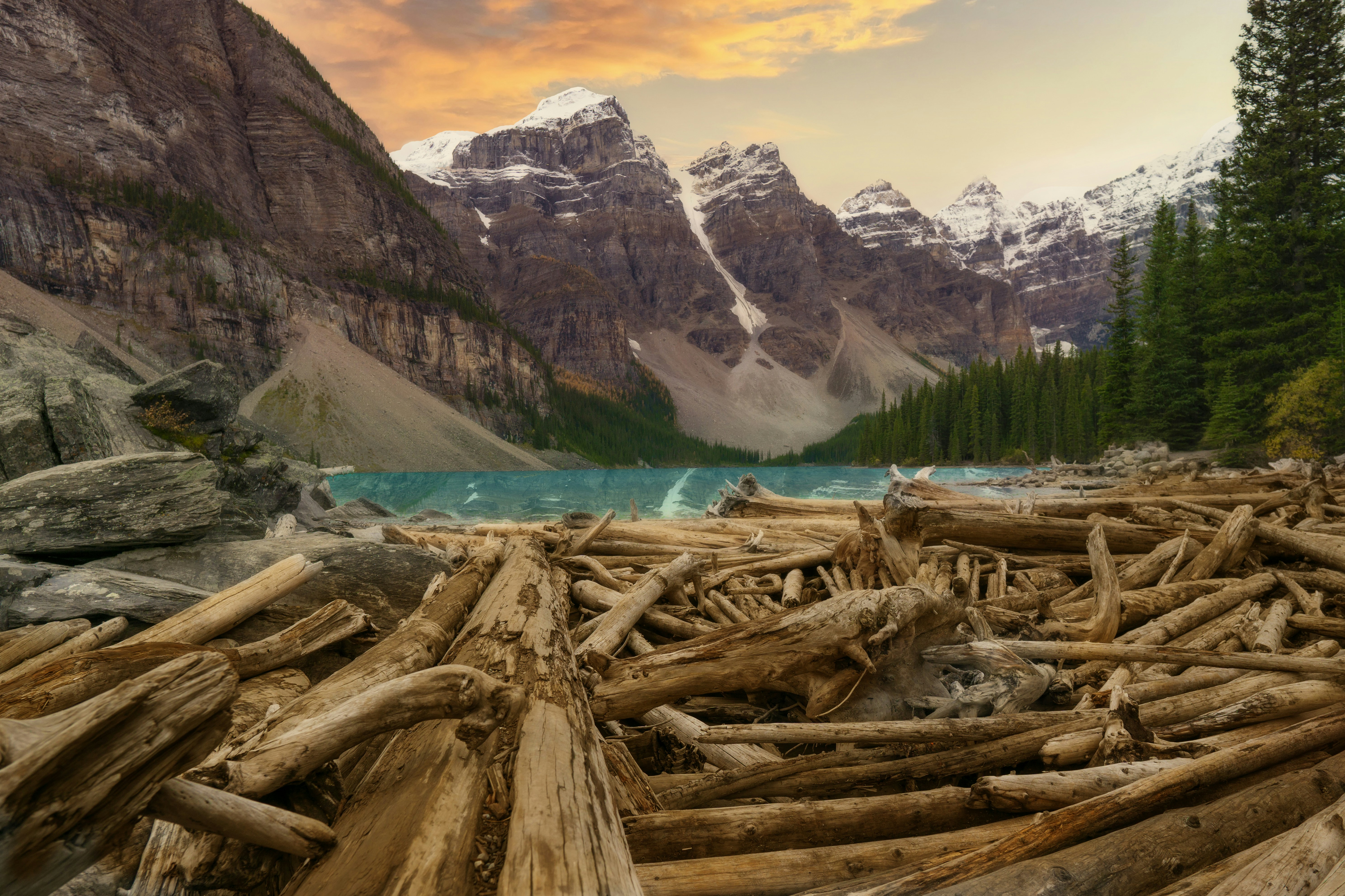 Moraine Lake Mountain Forest Driftwood