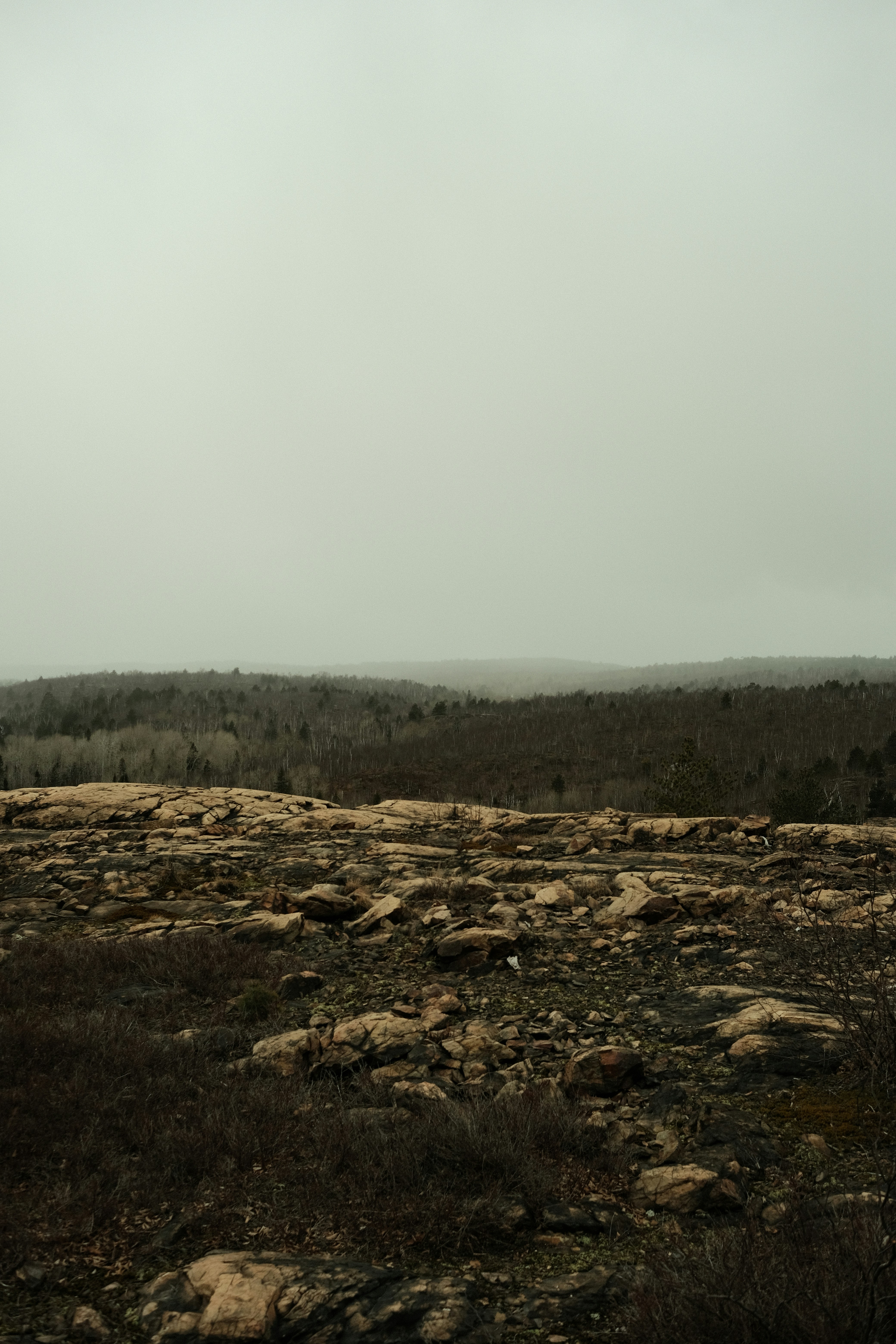 Overcast sky meets rugged rocky landscape with sparse vegetation.