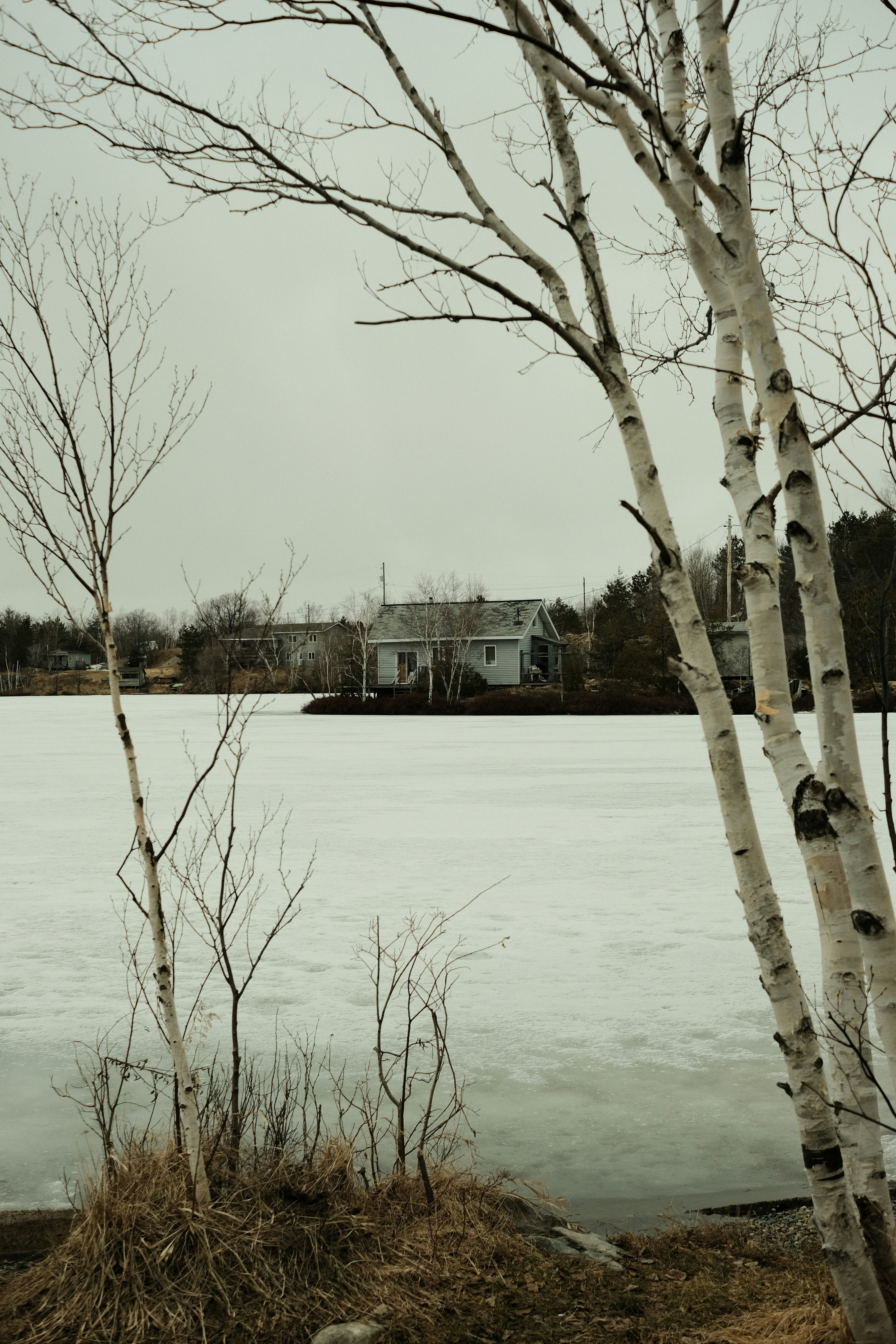 Whispers of Winter: A Quiet Lakeside Retreat