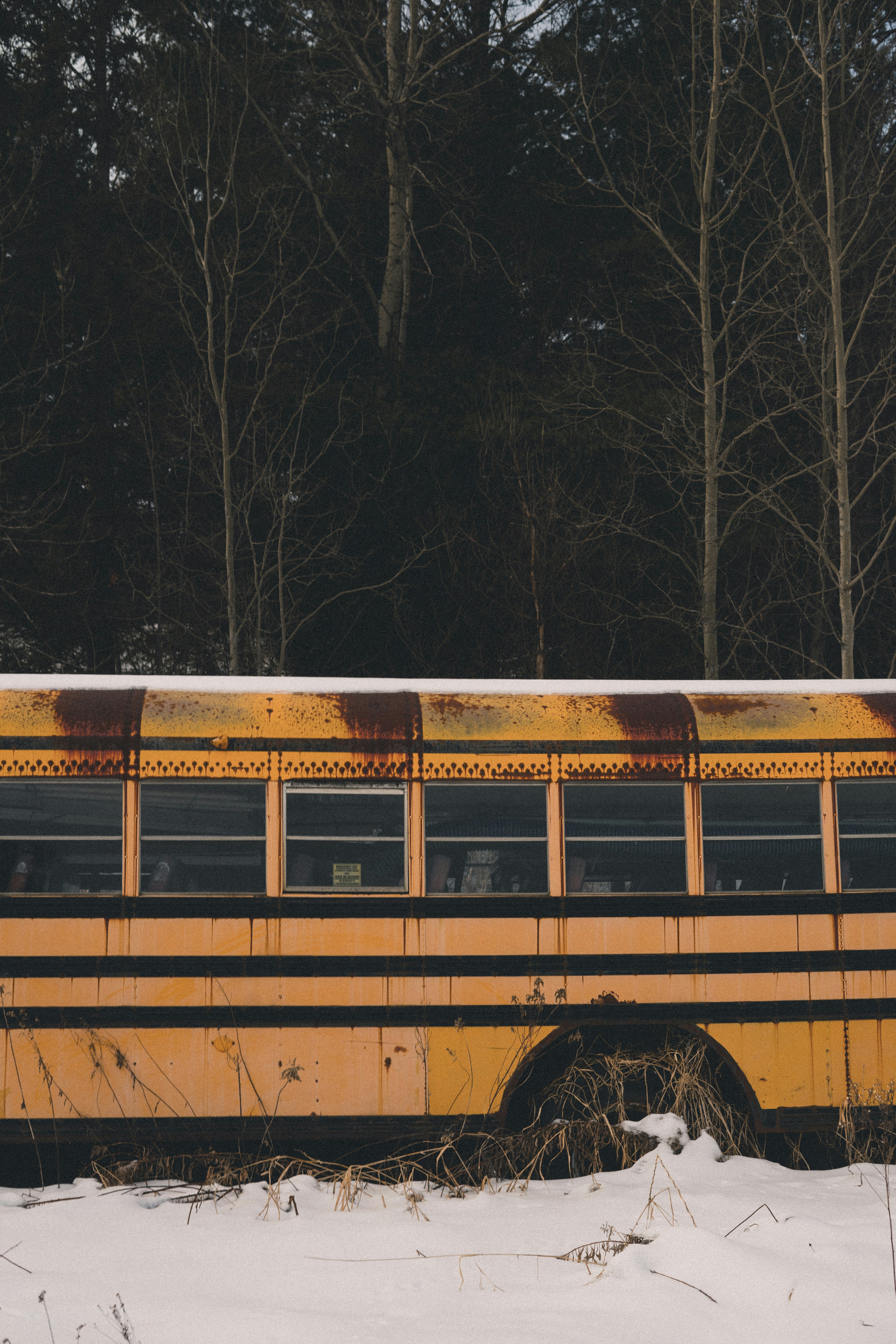 An old yellow school bus, rusting and overgrown with grass, rests in a snowy landscape surrounded by bare trees.
