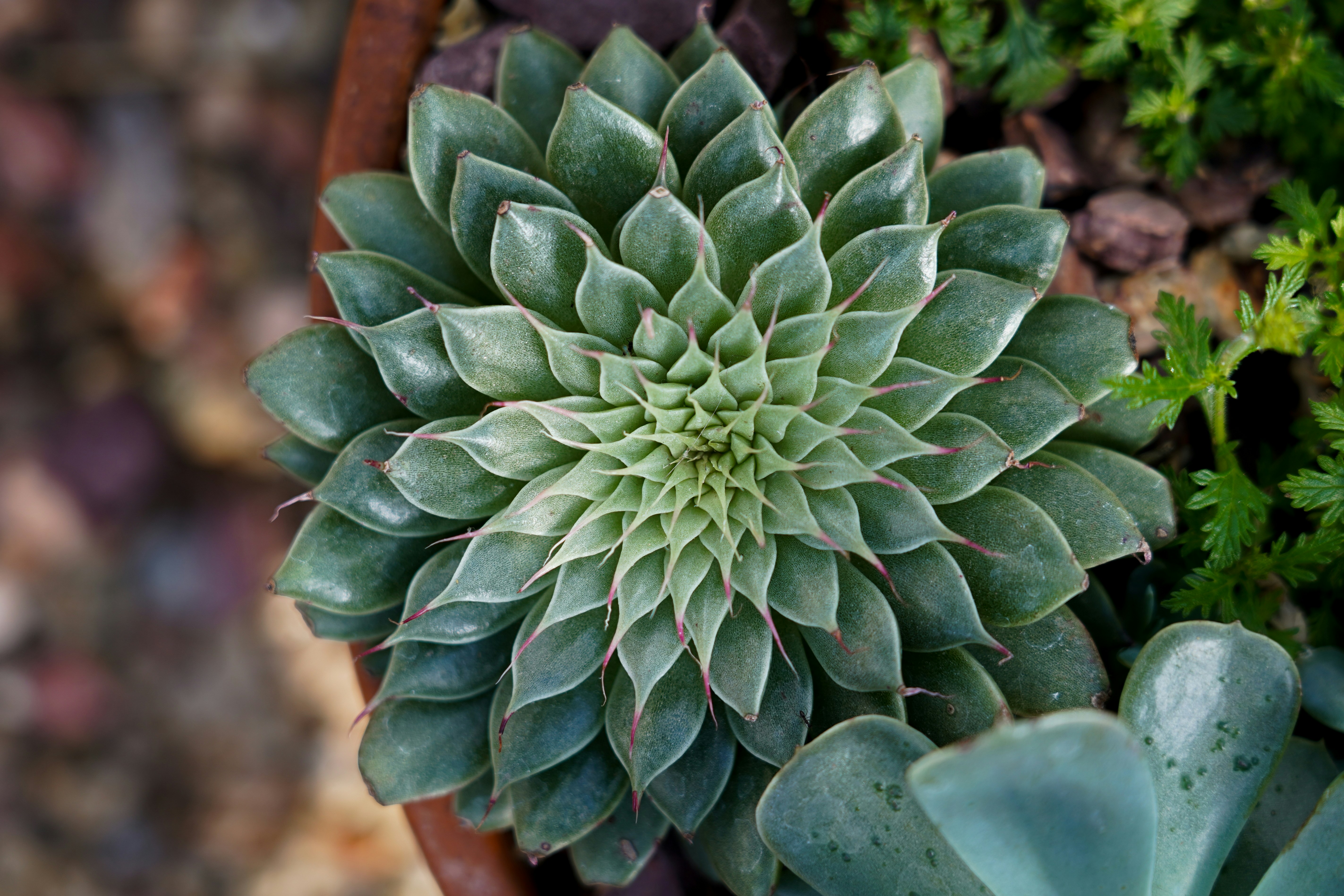 Shangbin Tang (@tang_shangbin) | Unsplash Photo Community