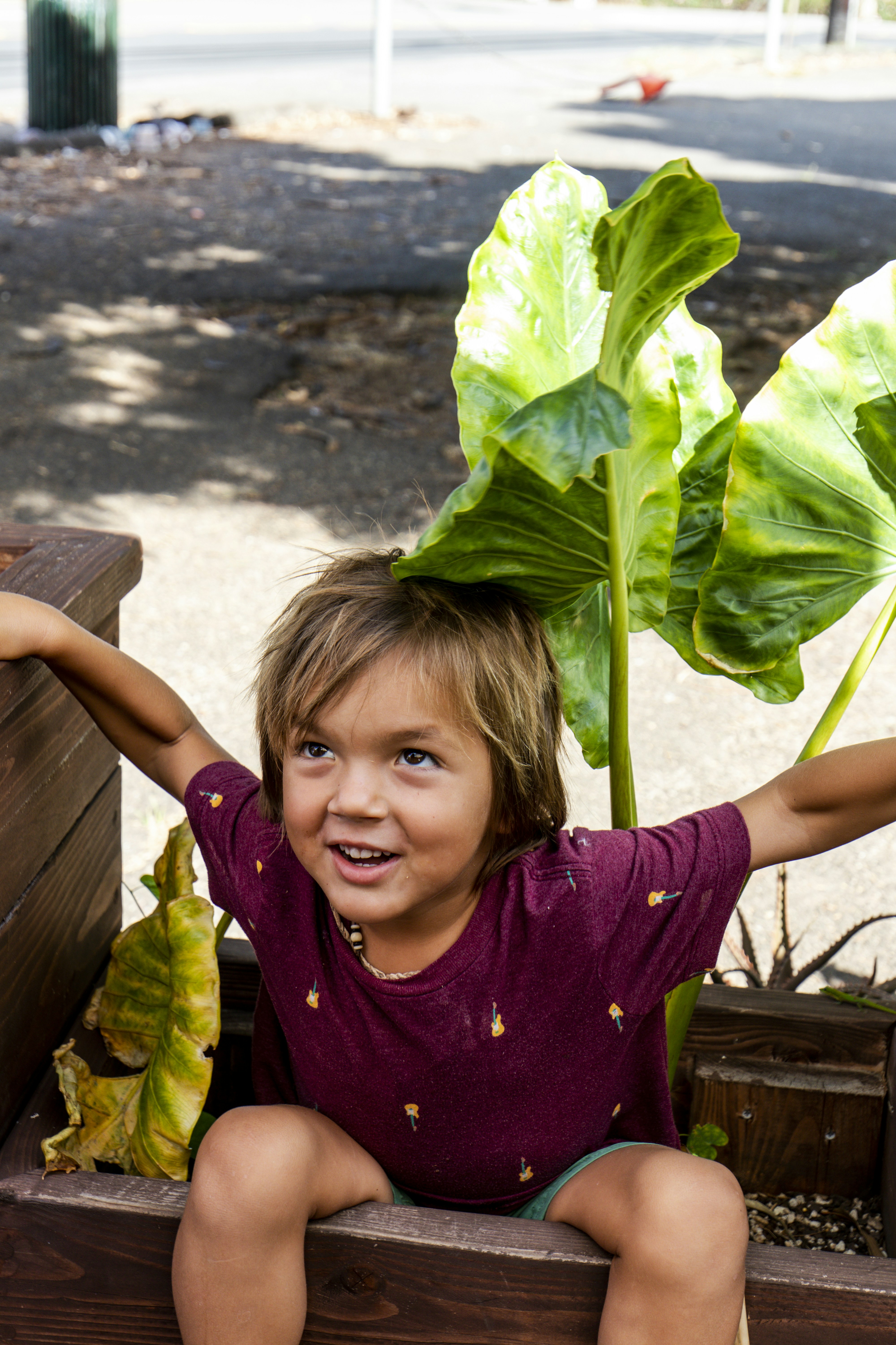 Joyful Arc: Child Amid Giant Leaves Reaching for Sunlight