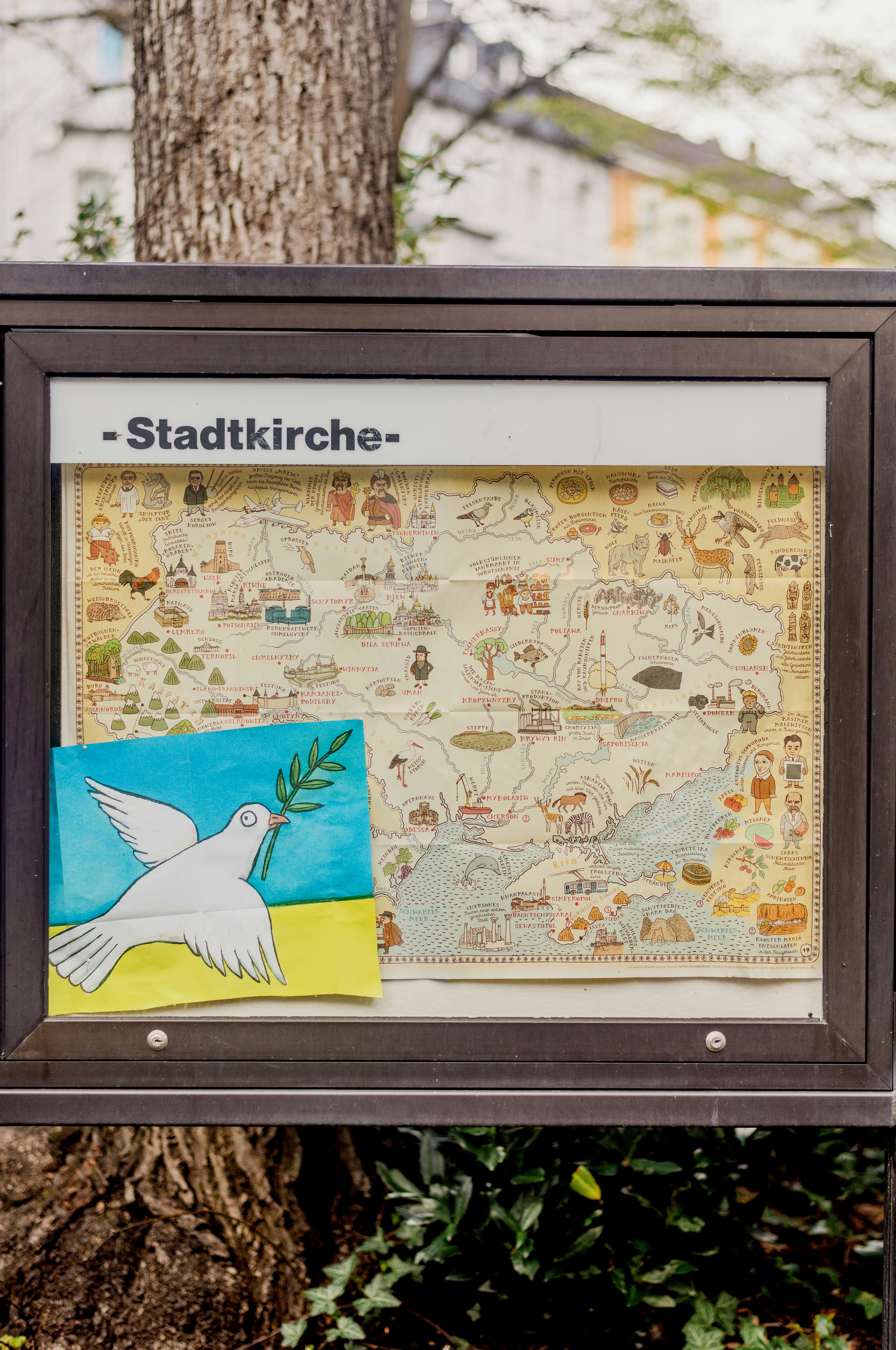 A picture of a white bird on a map photo – Free Animal Image on Unsplash