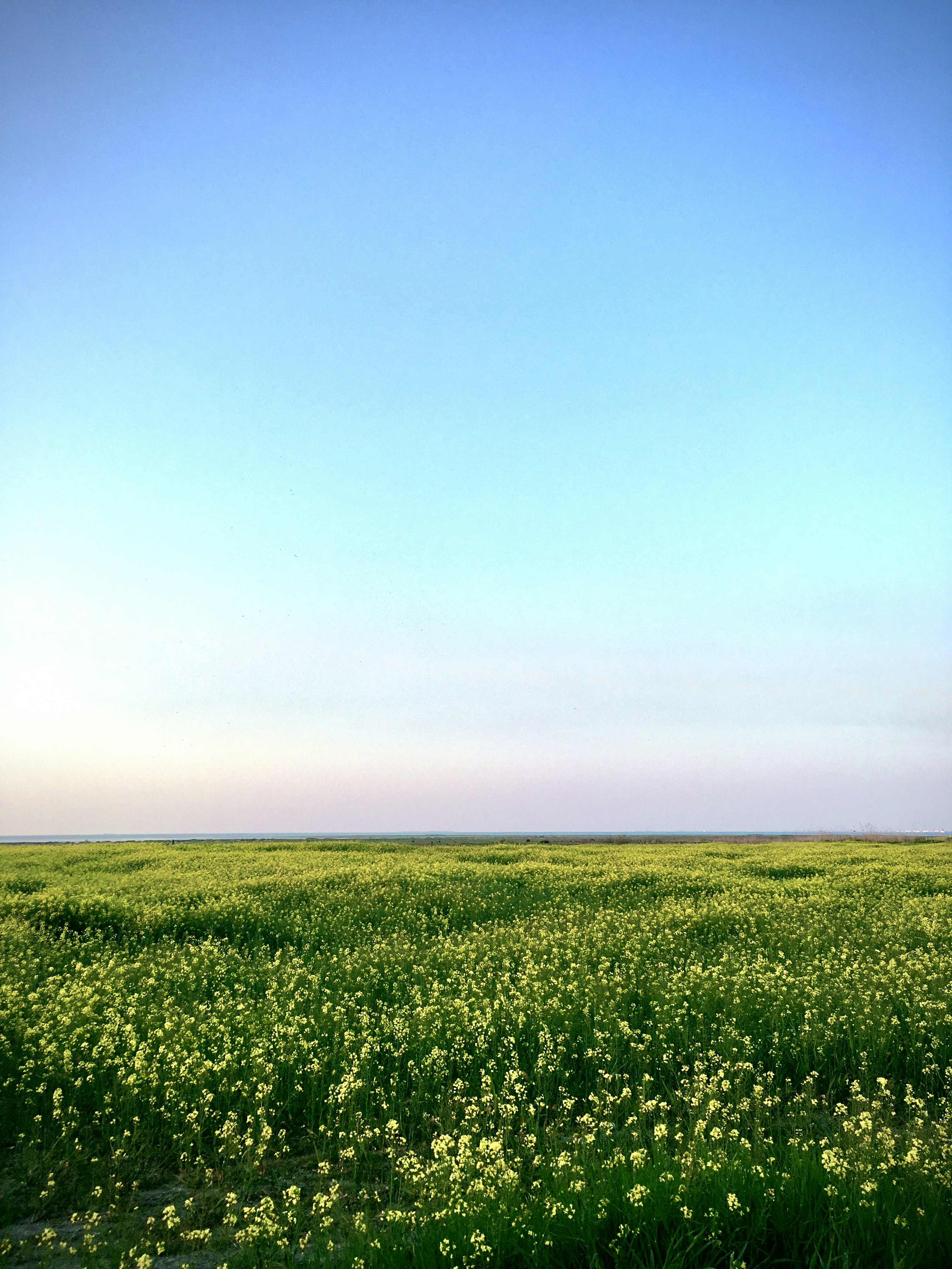 Photo by Farzawn Studio with Apple iPhone SE