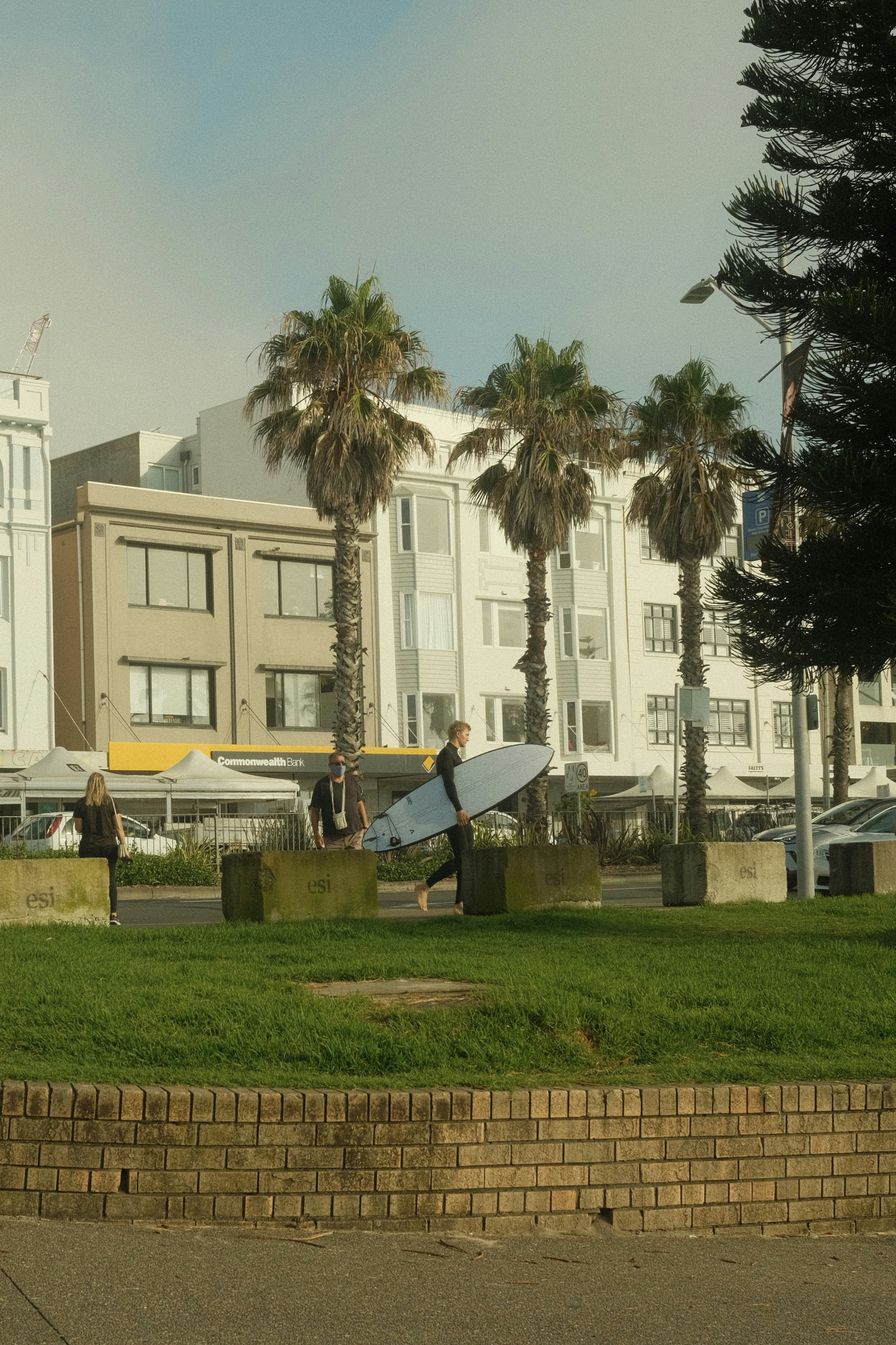 Harborfront Glide: Surfer with a White Board Amid Palms and Pastel Facades