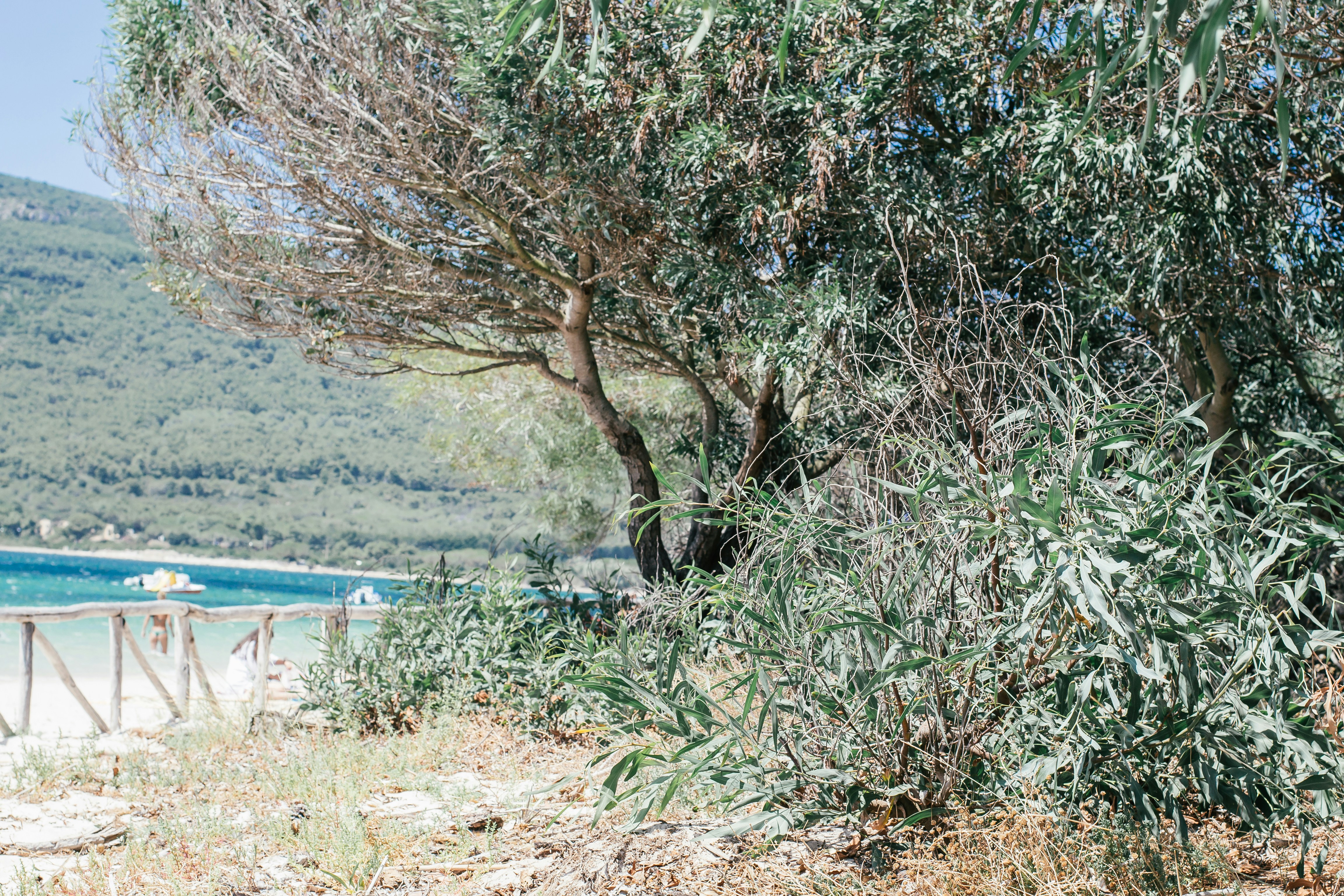 Lush greenery frames a tranquil beach scene, with distant boats dotting the azure waters under a clear sky.