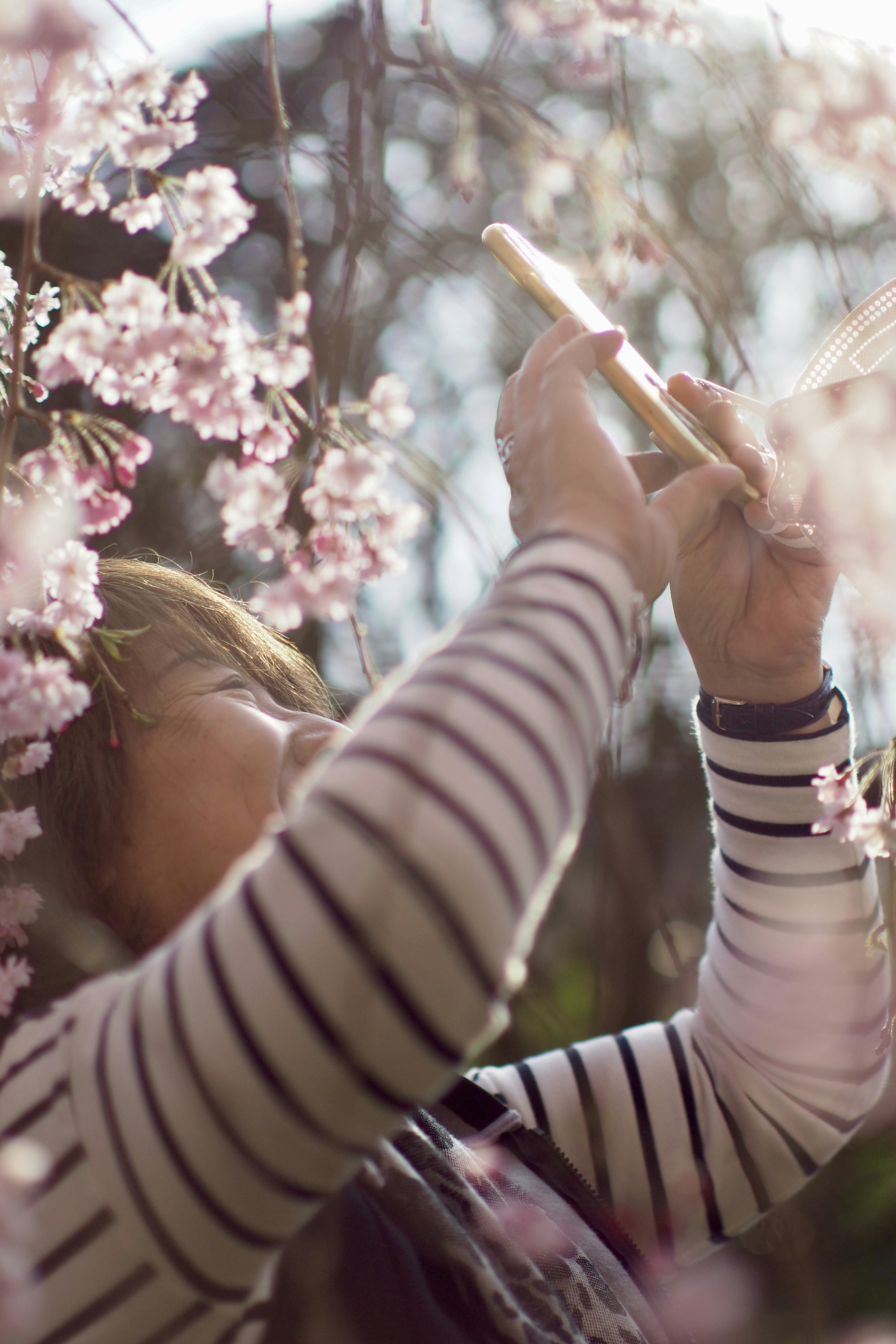 Blossoms and a Gesture: A Moment Captured in Soft Light