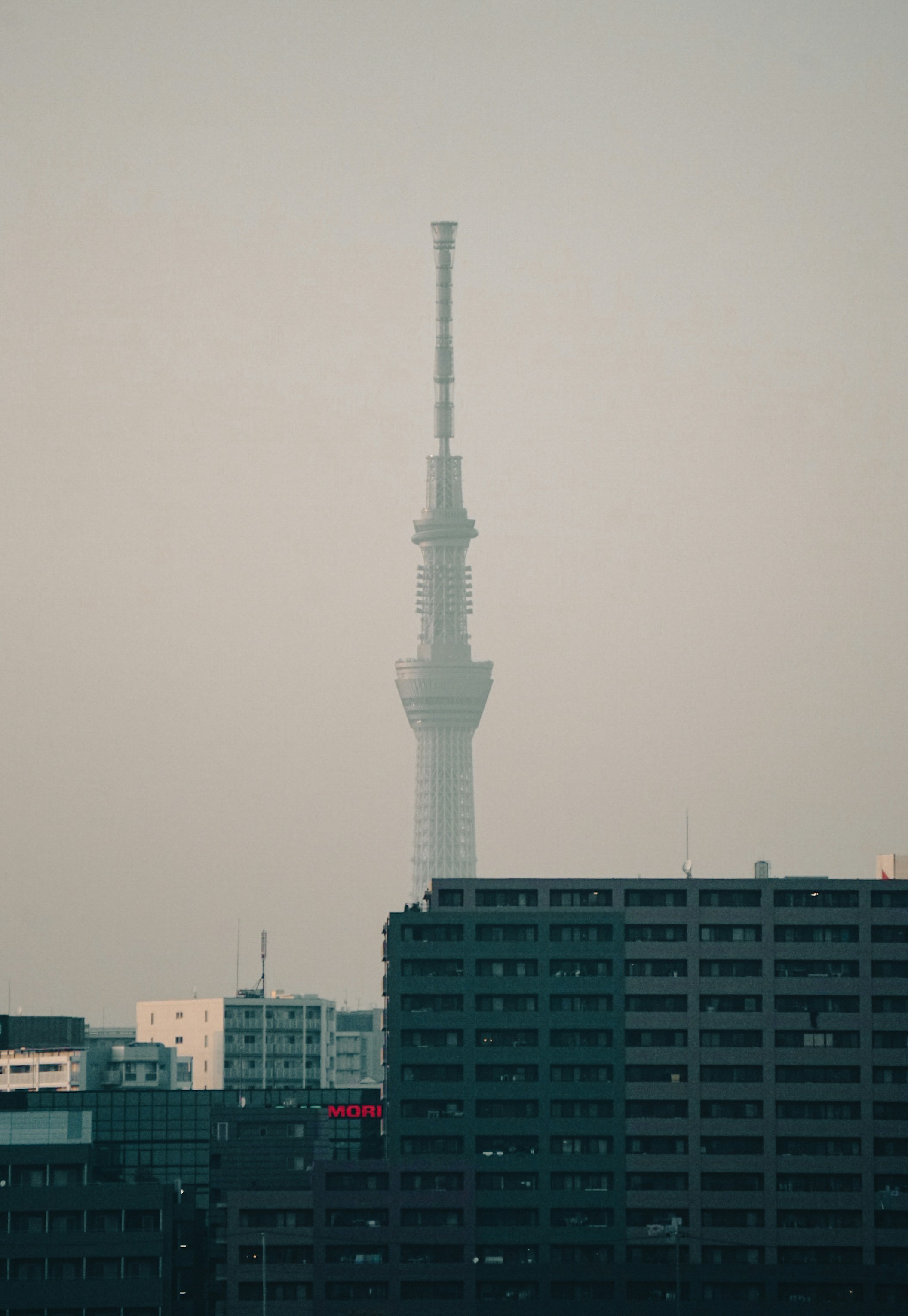 Tokyo Skytree rises through a haze, framed by urban structures below. The soft focus adds a dreamlike quality to the scene.