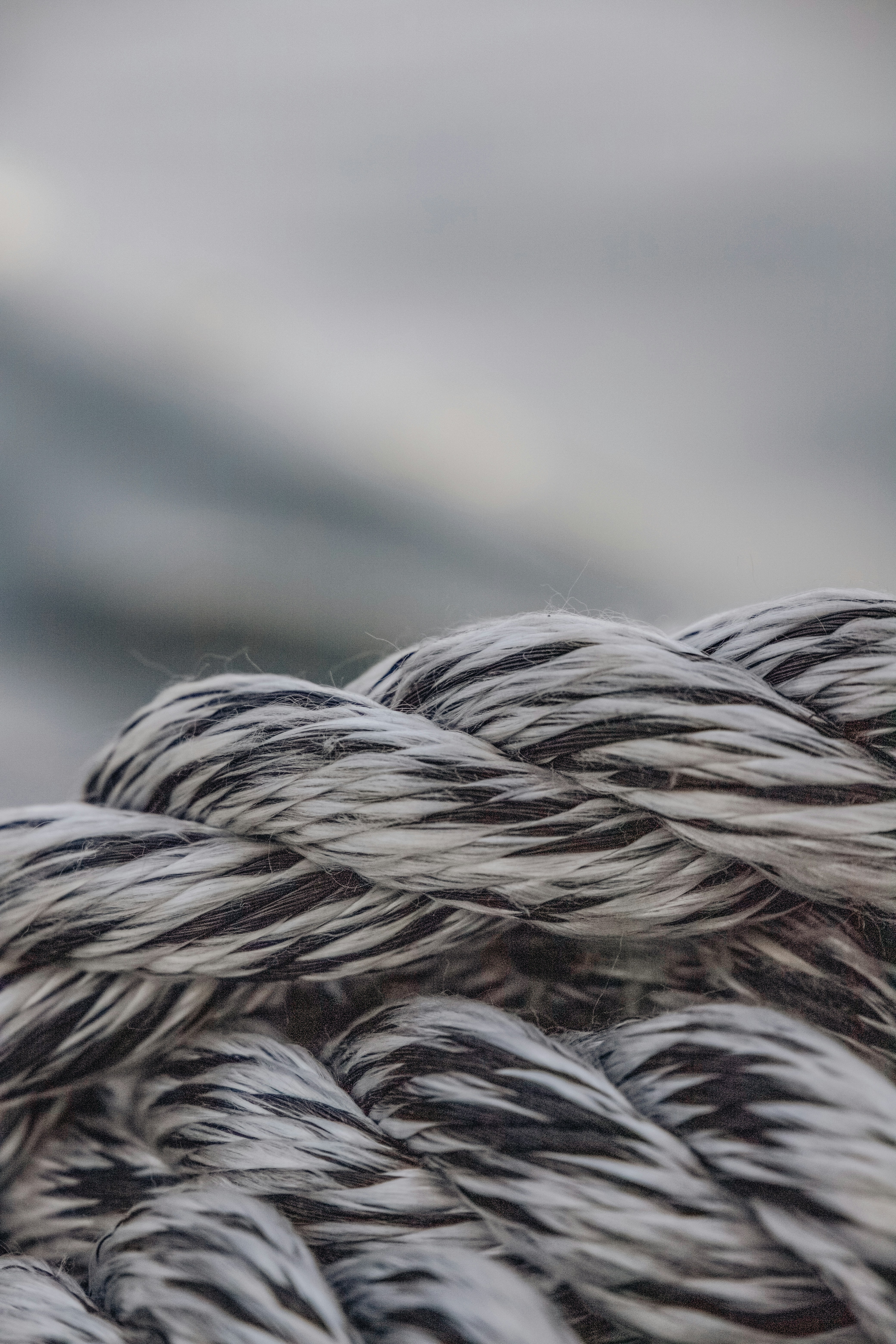 Tangled Tension: Macro Close-Up of Weathered Rope Strands