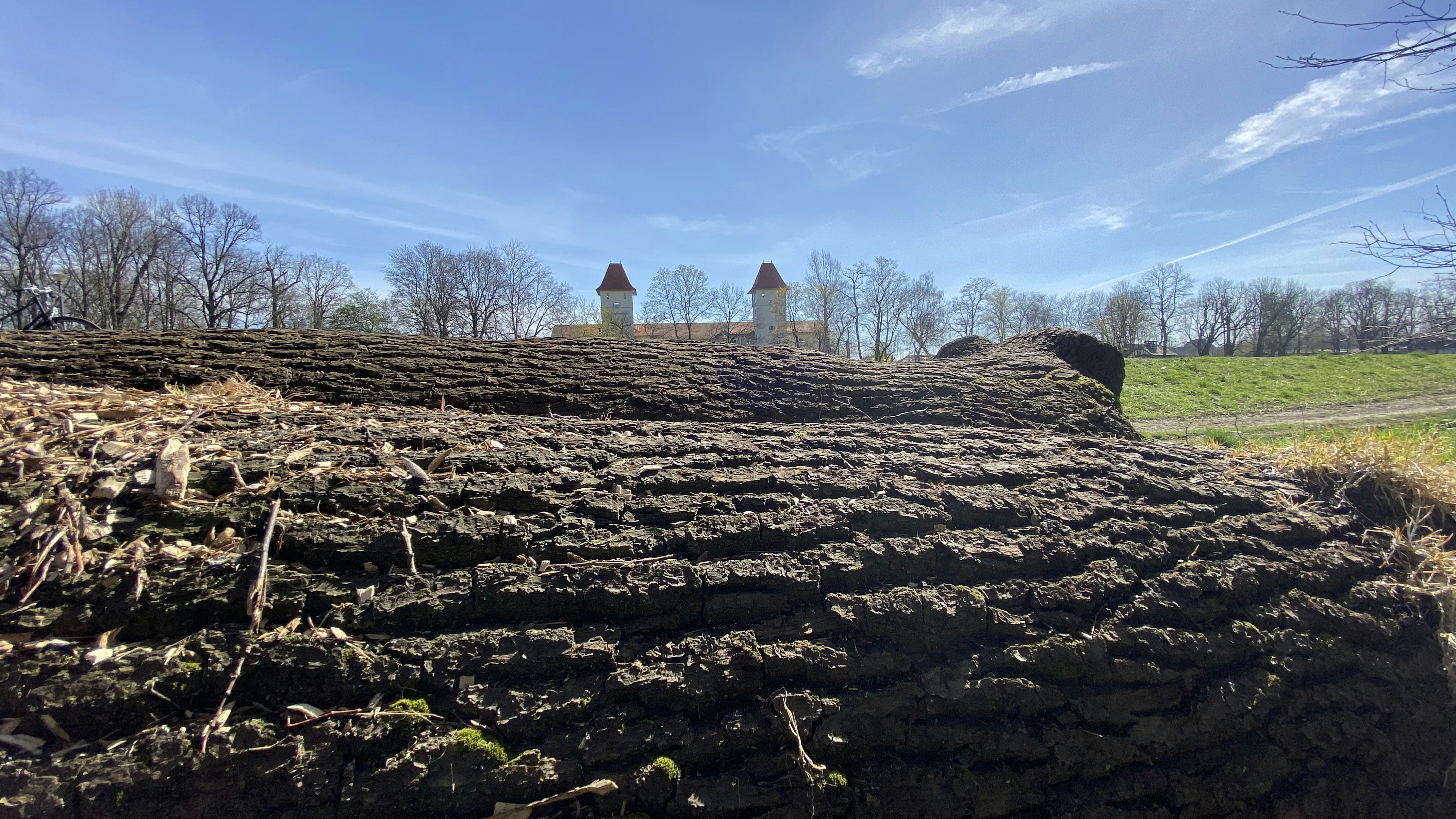 A large pile of dirt sitting on top of a lush green field photo – Free ...