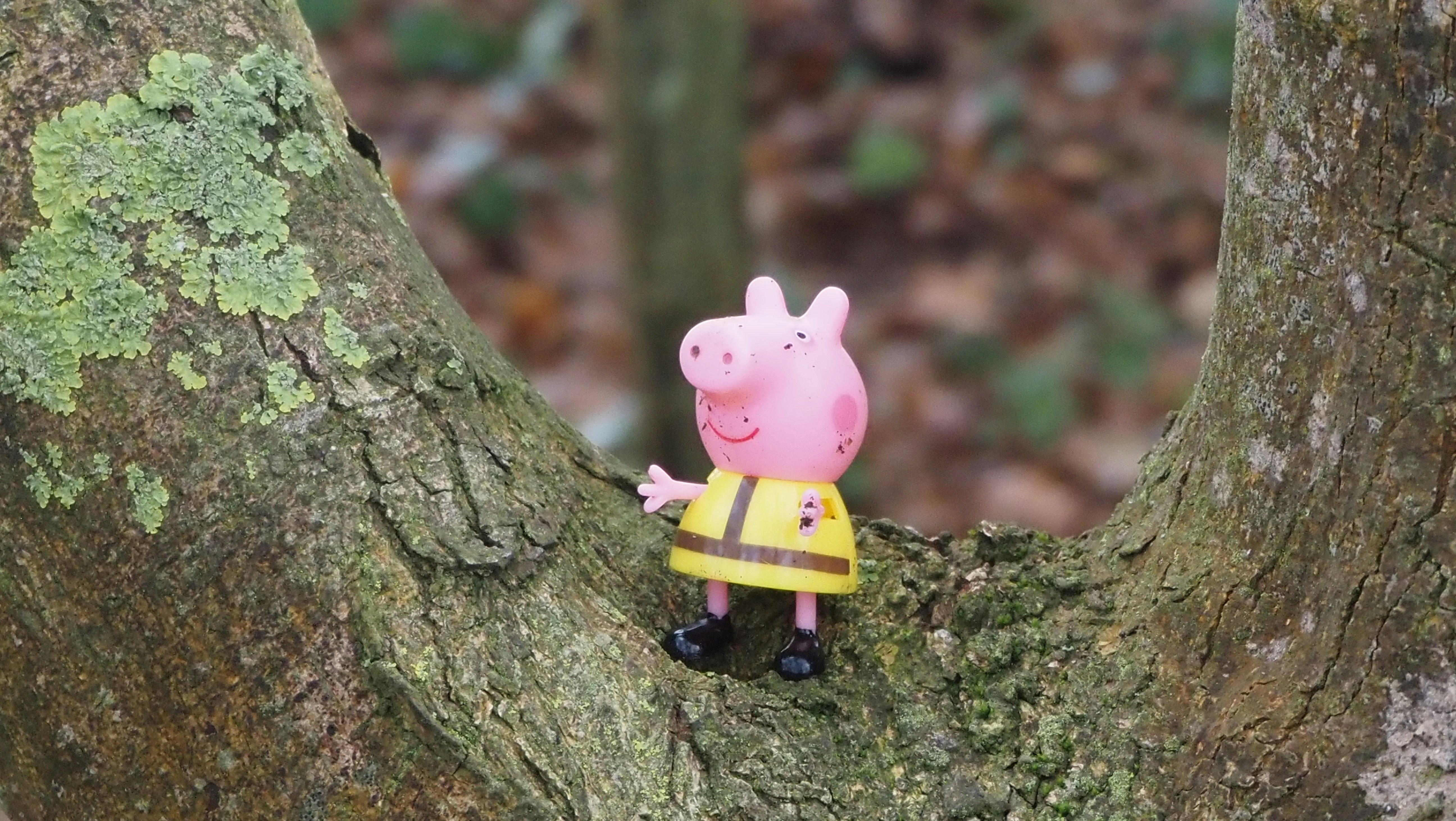 Tiny Peppa Pig on a Mossy Branch: A Forest Toy Scene