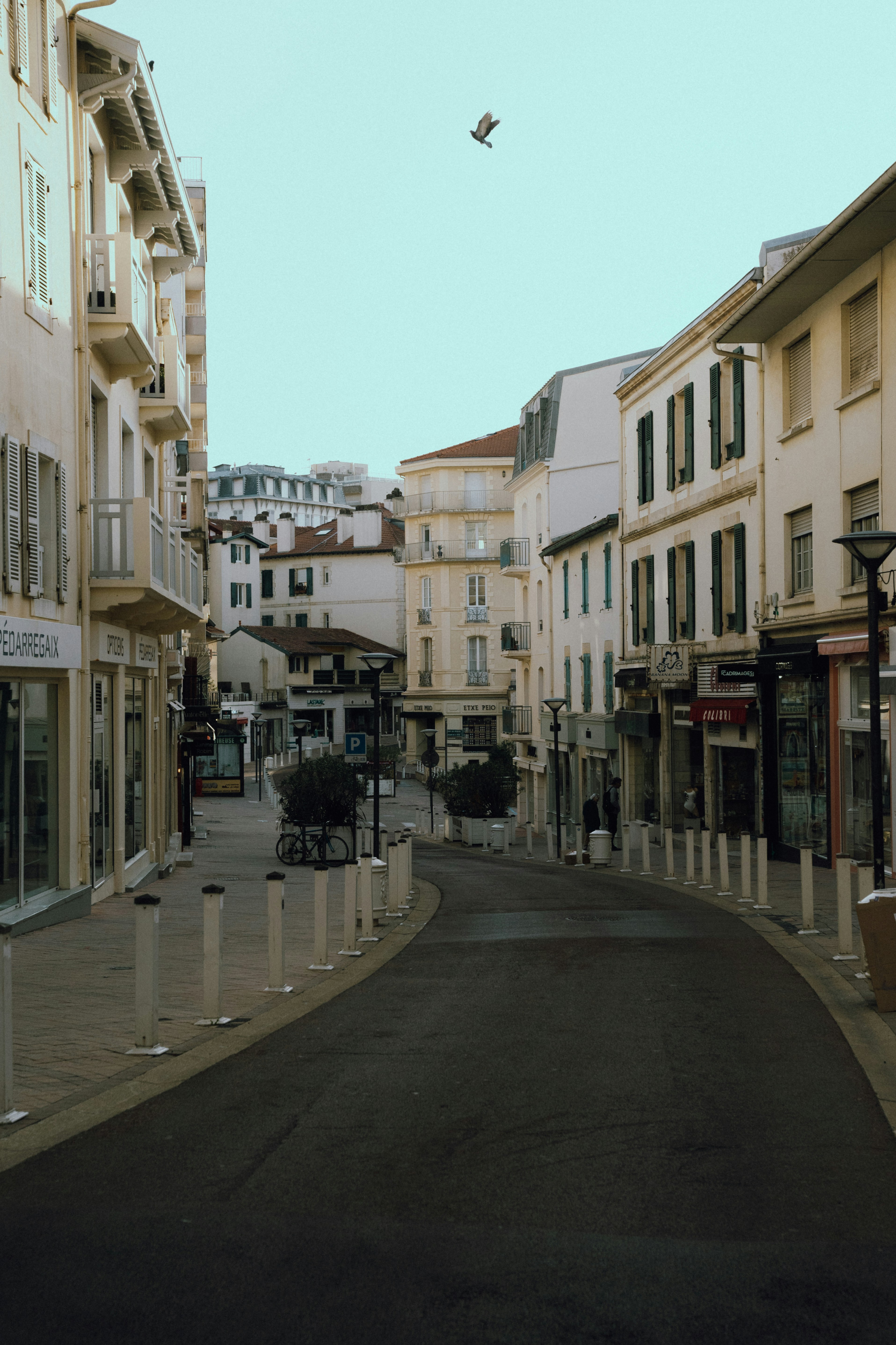 Quiet Rue in Sunlit Slope