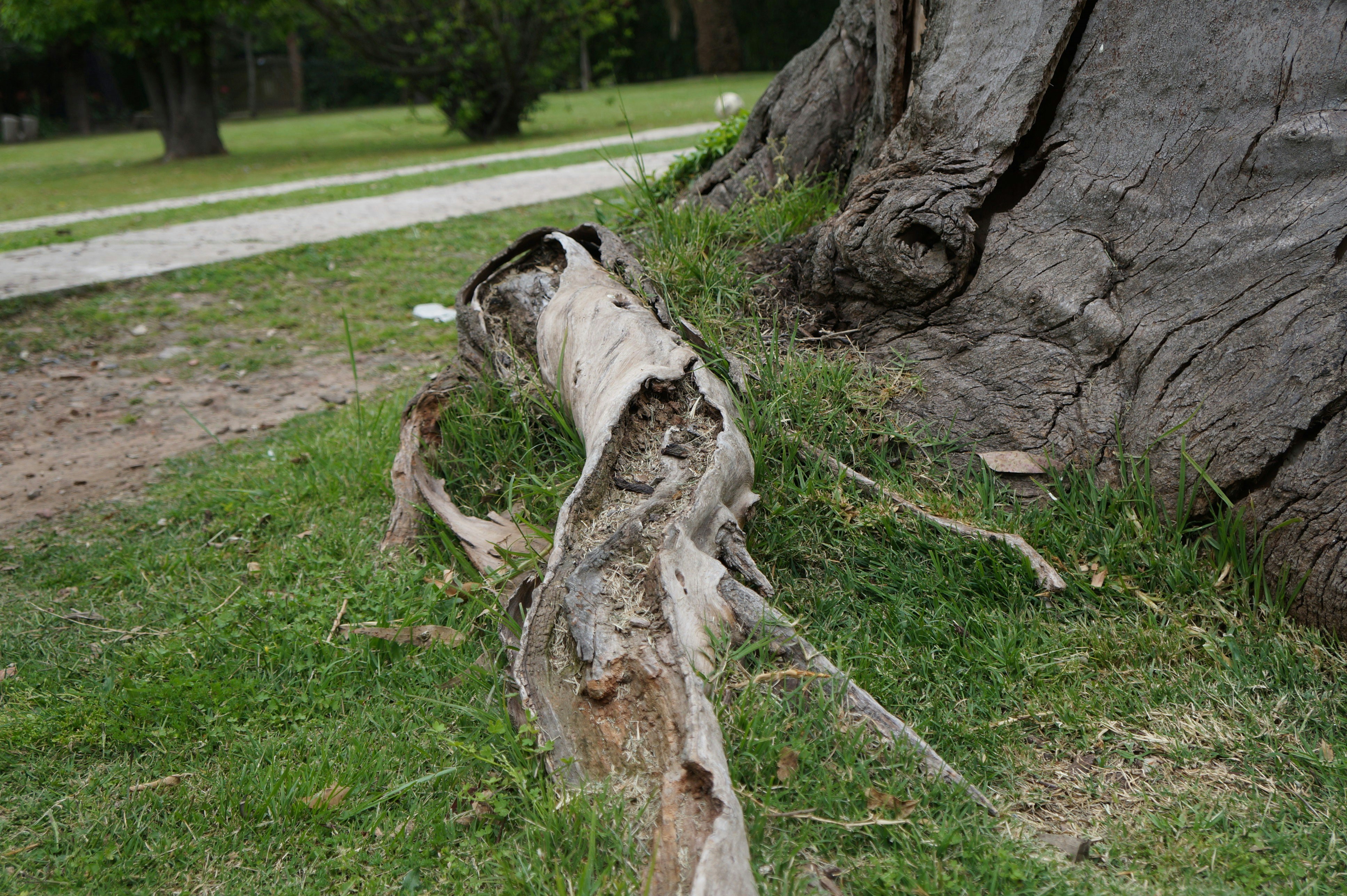 Photo by Marilu Pereyra with Sony Alpha 3000