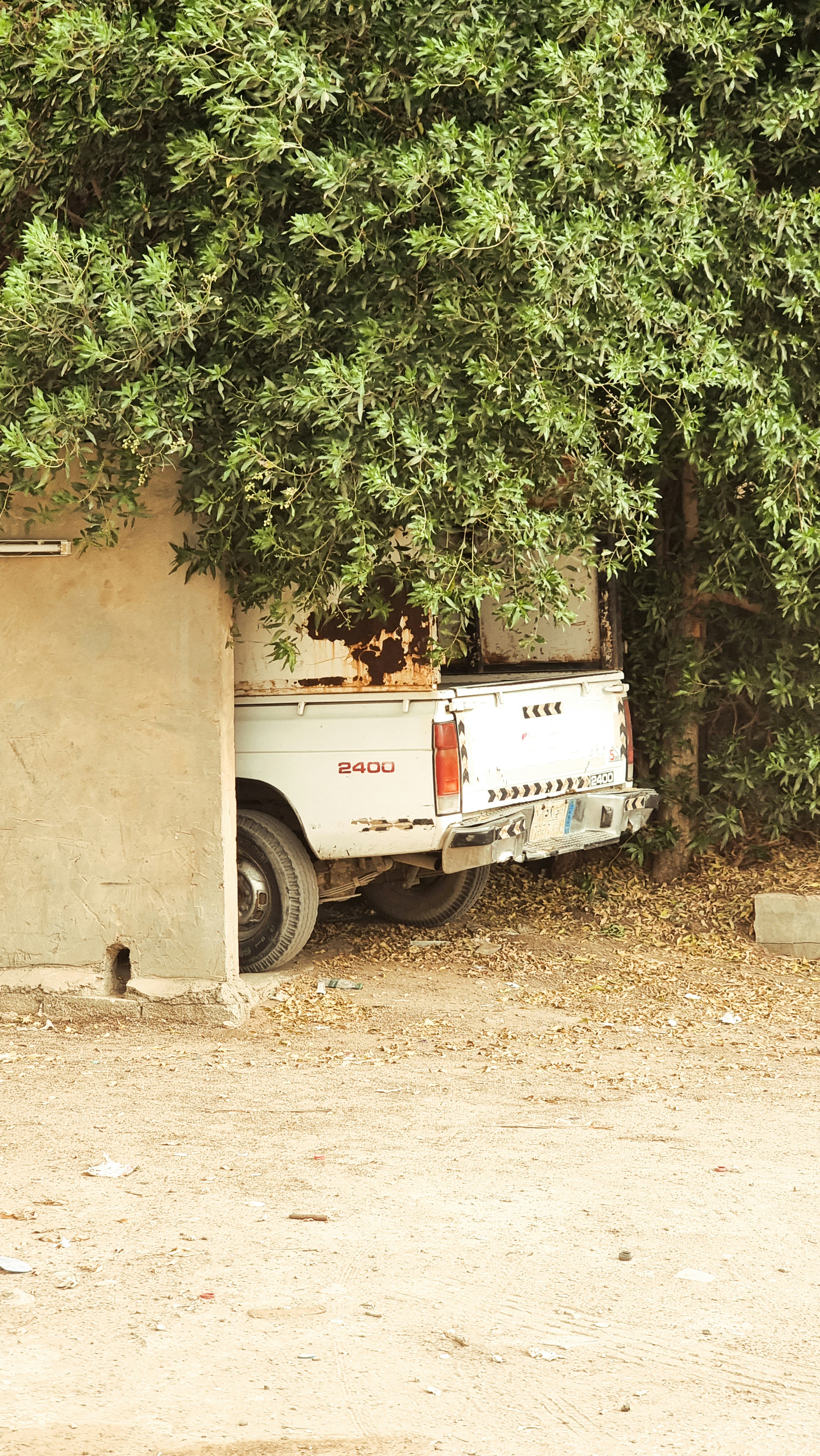 Shade-Guarded Tailgate: A Weathered Pickup Beneath Dense Foliage