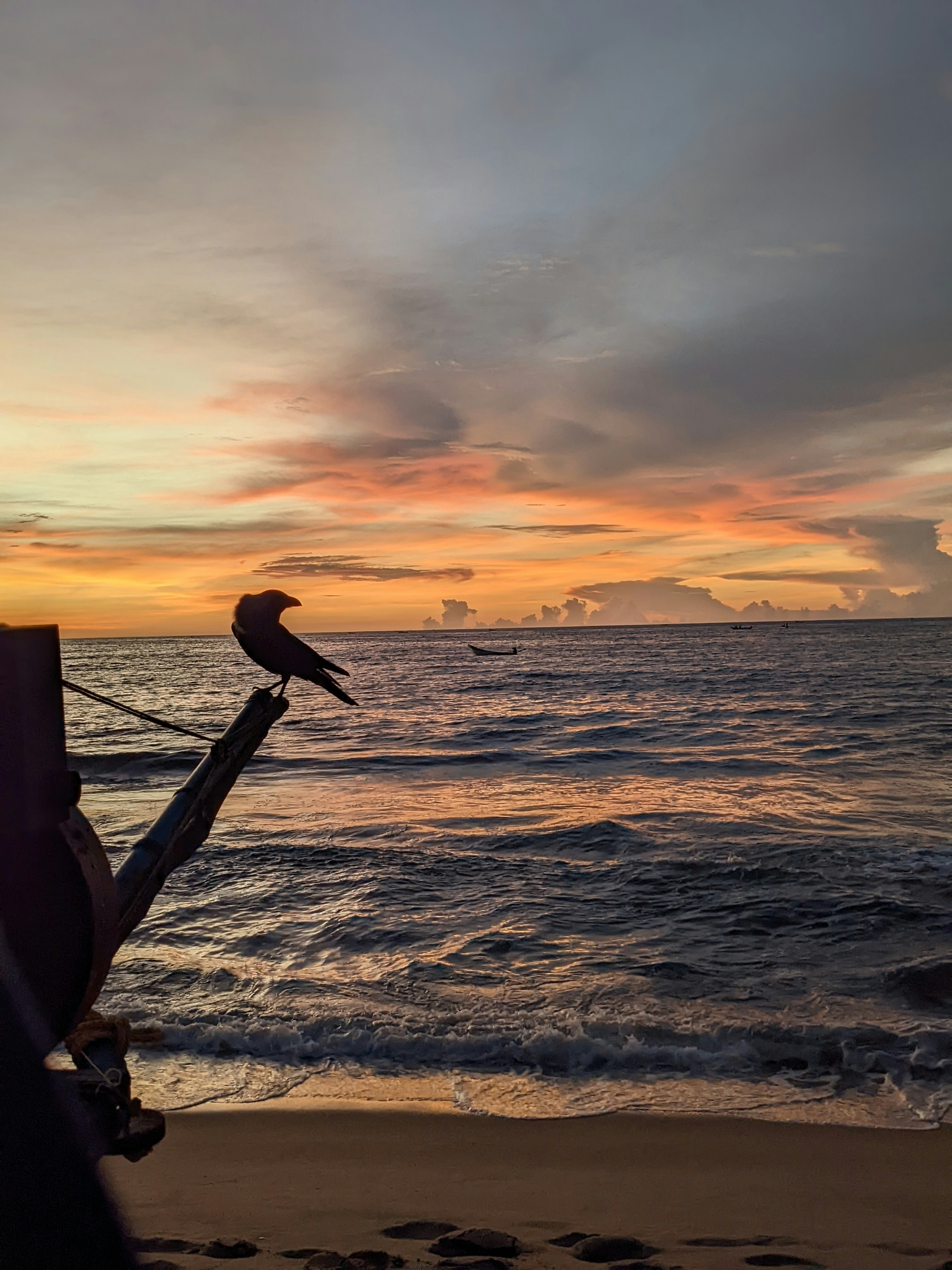 Sunset Sentinel: Seabird Silhouette on a Weathered Rail Over a Fiery Horizon