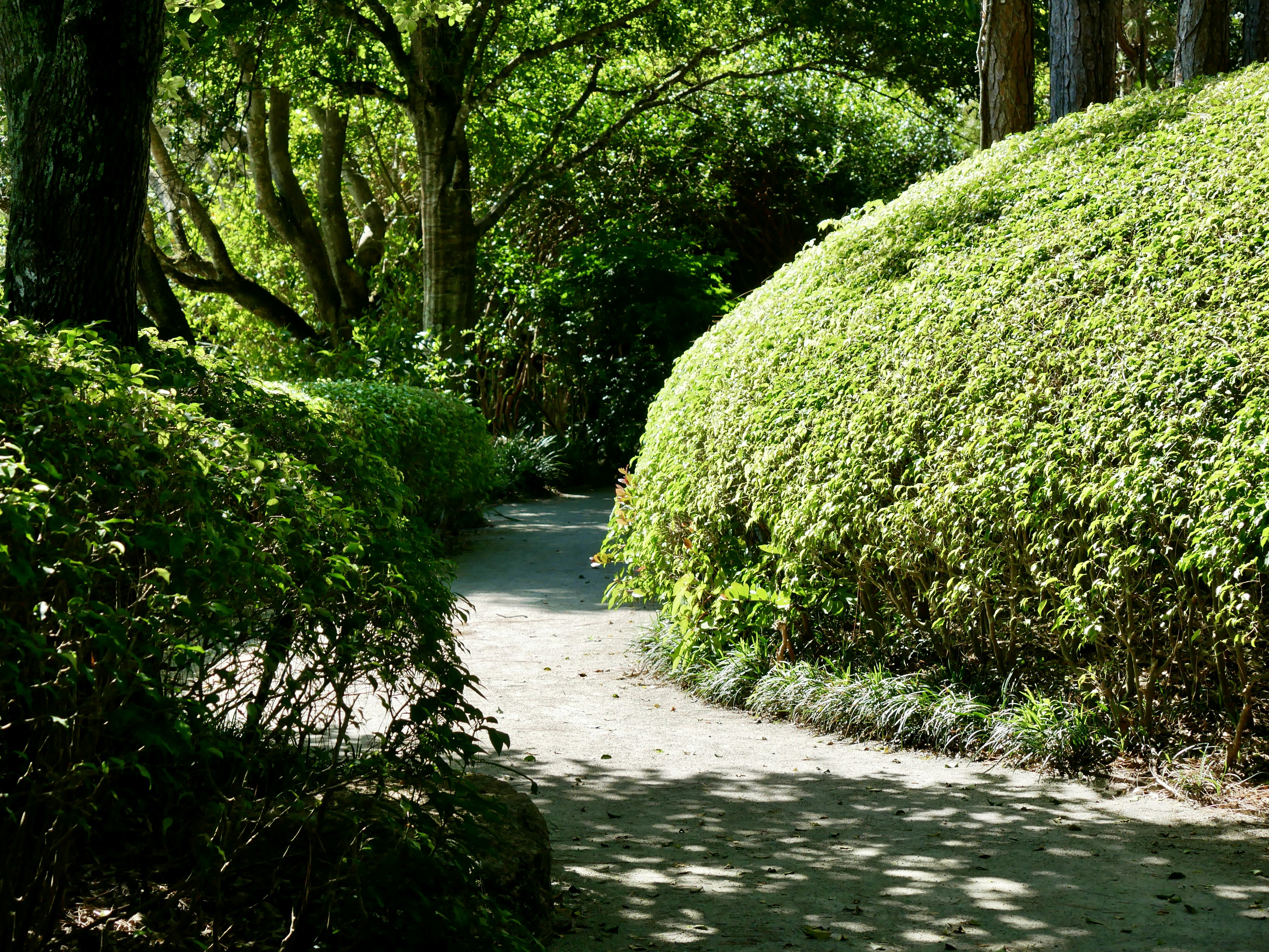 A path in the middle of a lush green park photo – Free Morikami museum ...