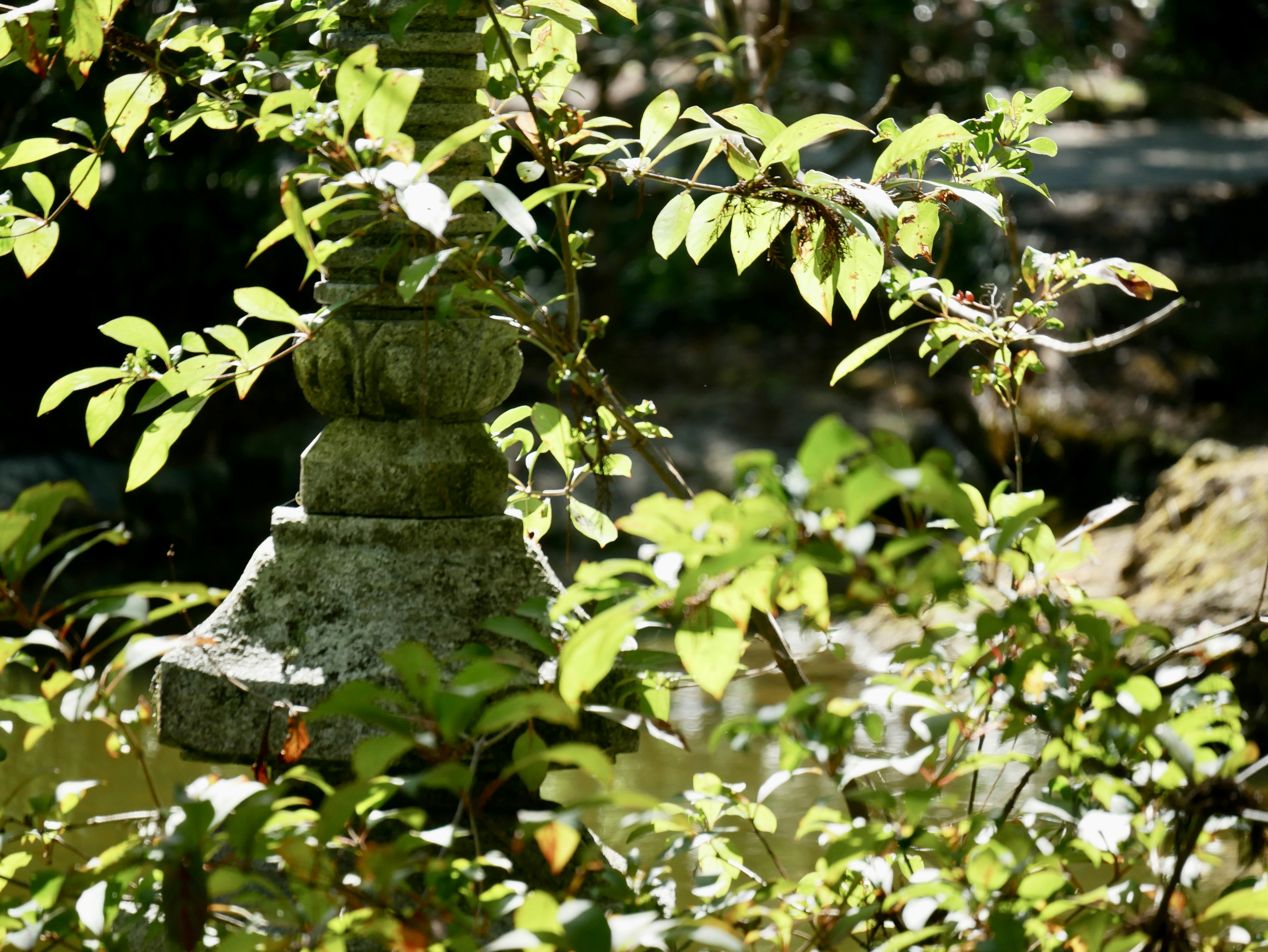 a stone tower sitting in the middle of a forest