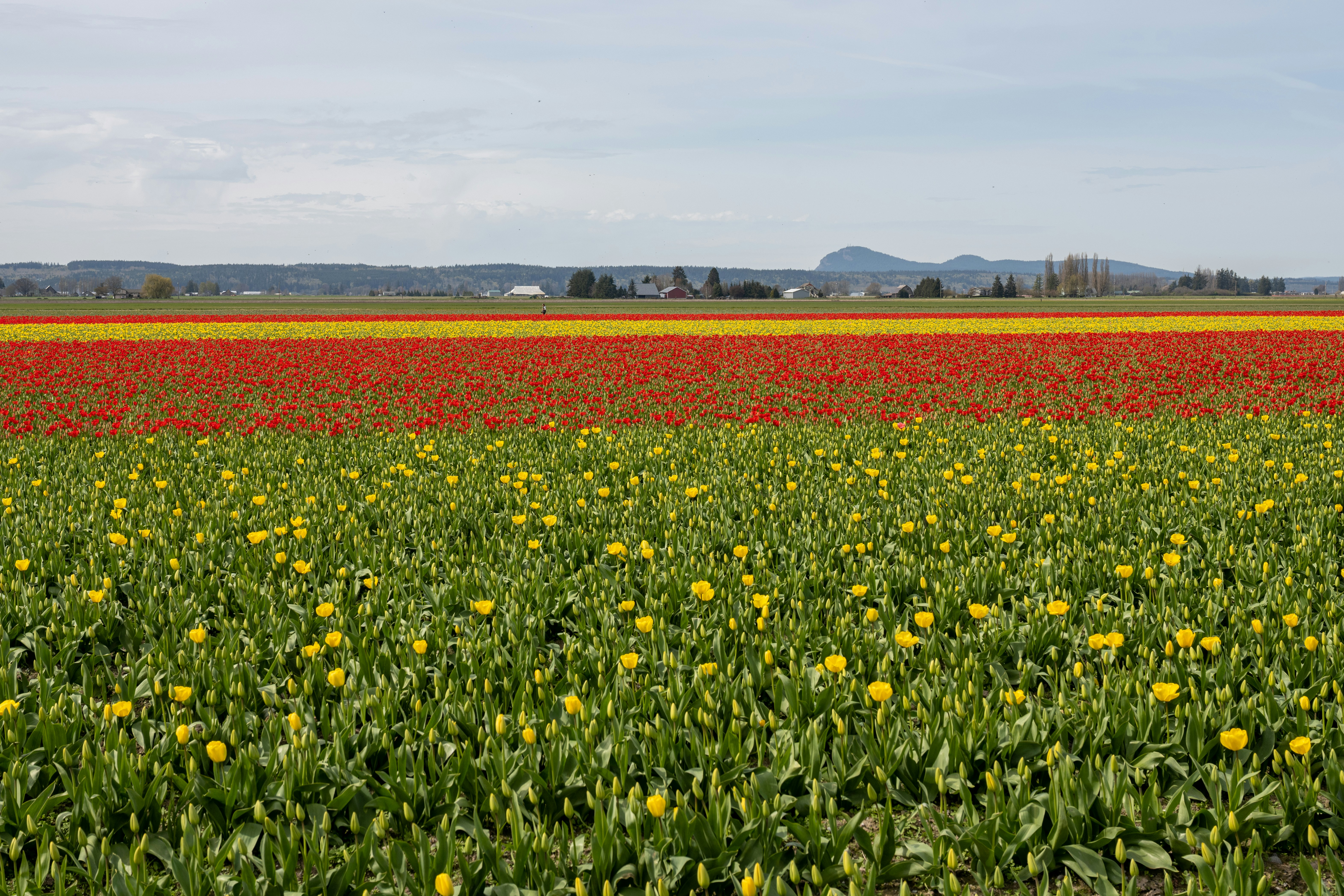 Tim Ventura (@timothyventura) | Unsplash Photo Community