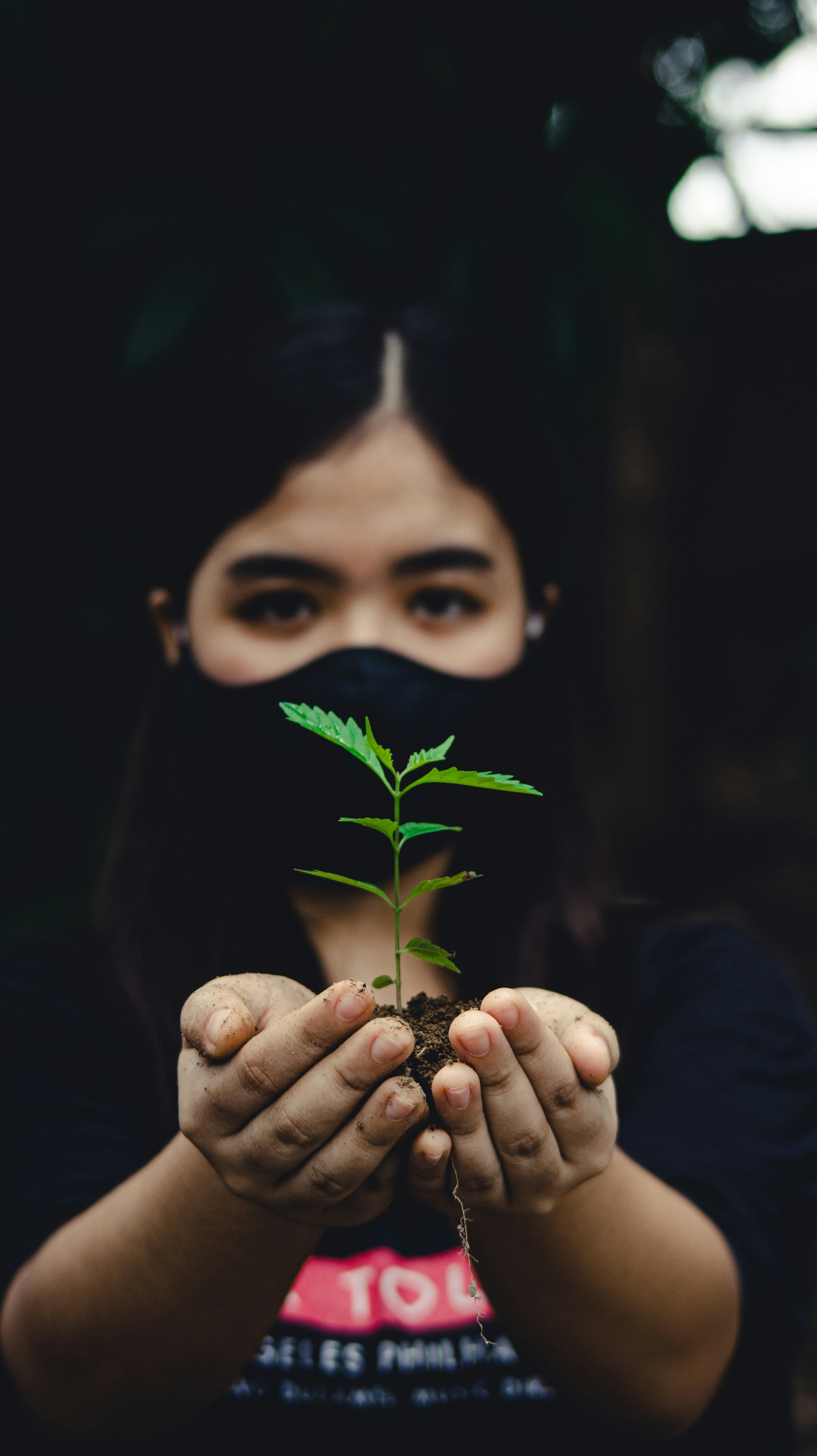 A woman wearing a face mask holding a plant photo – Free Human Image on ...