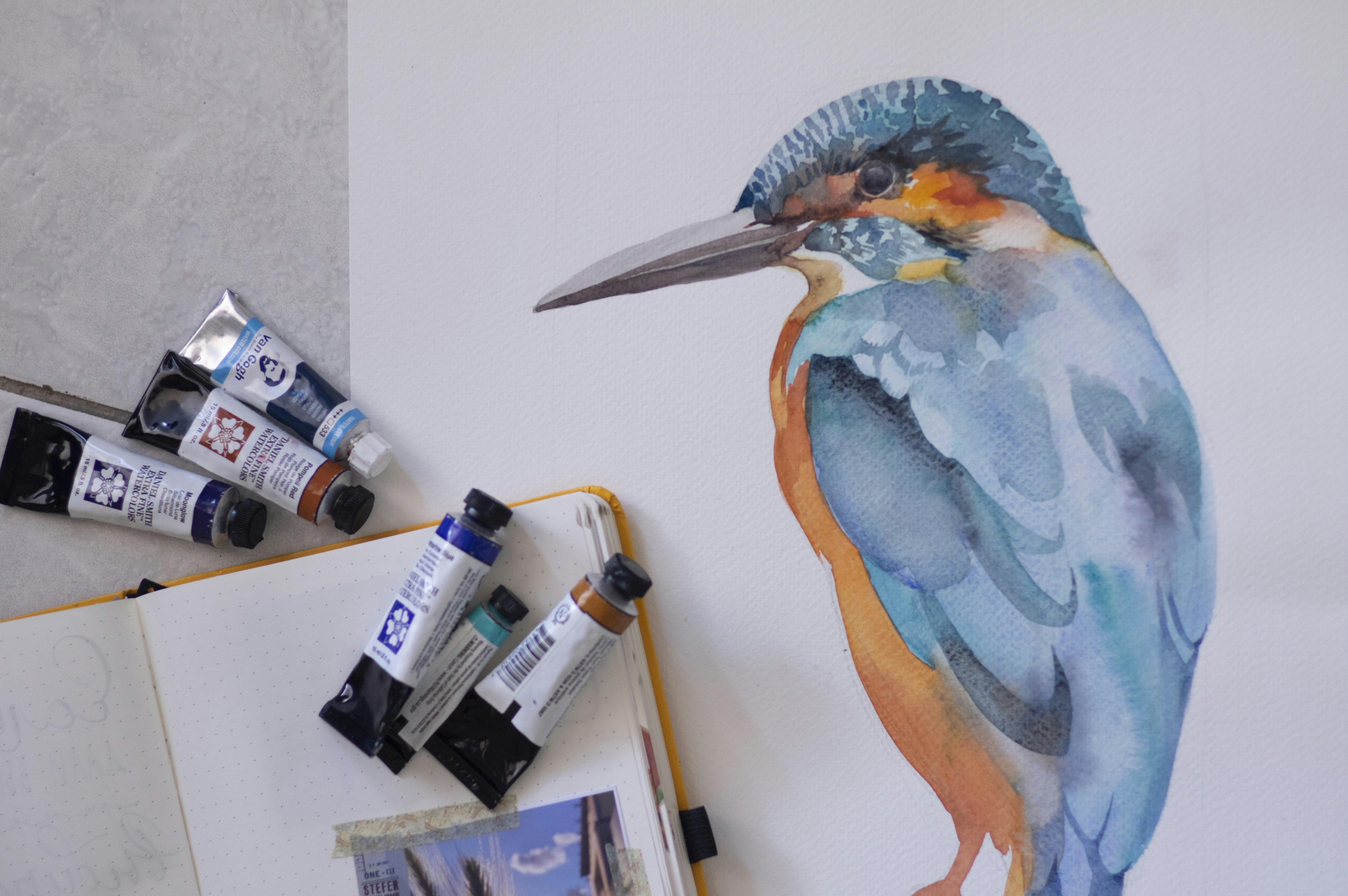 A Splash of Color: The Art of Avian Illustration