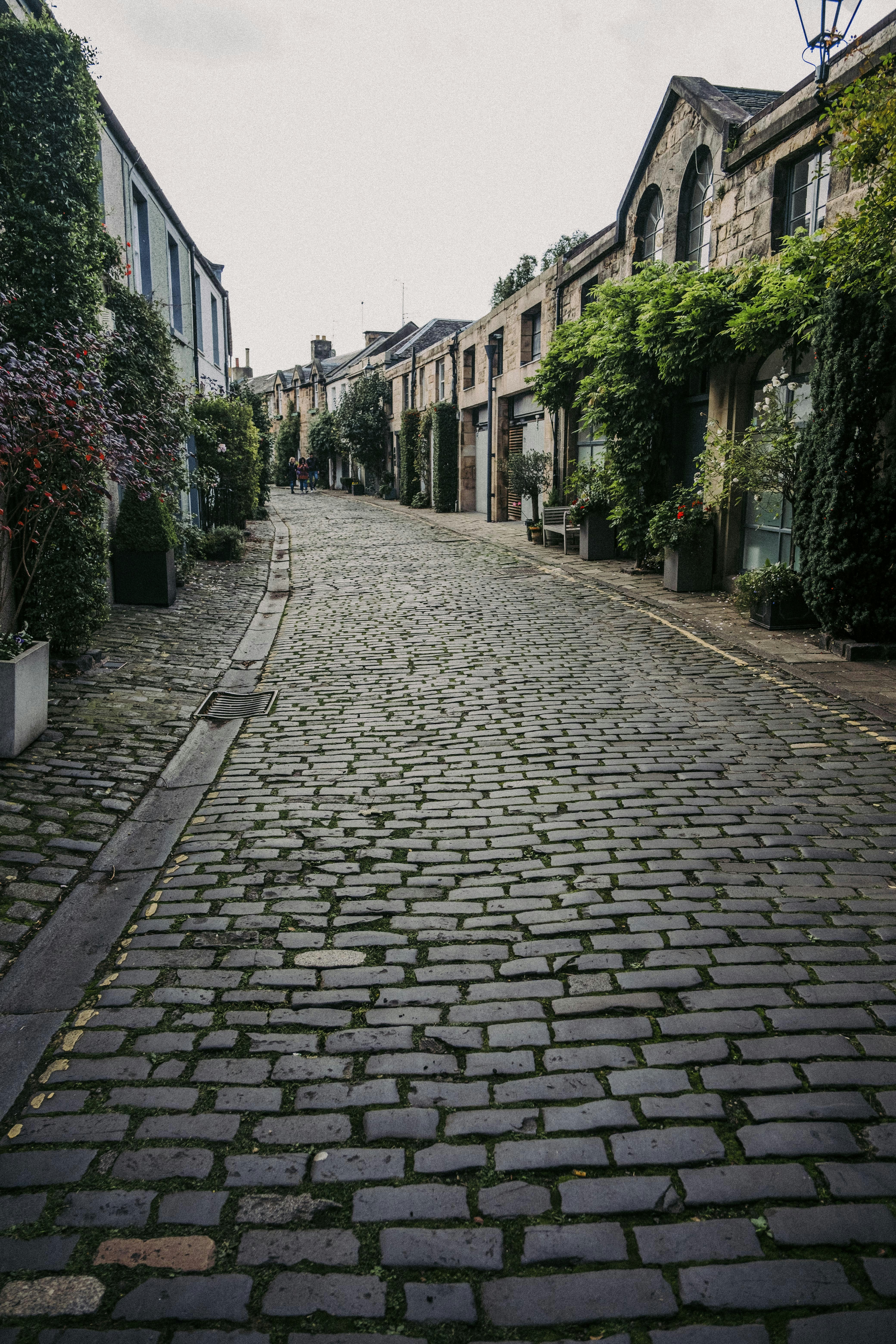 Charming cobblestone street lined with quaint buildings and greenery, inviting exploration. A serene atmosphere envelops the scene.
