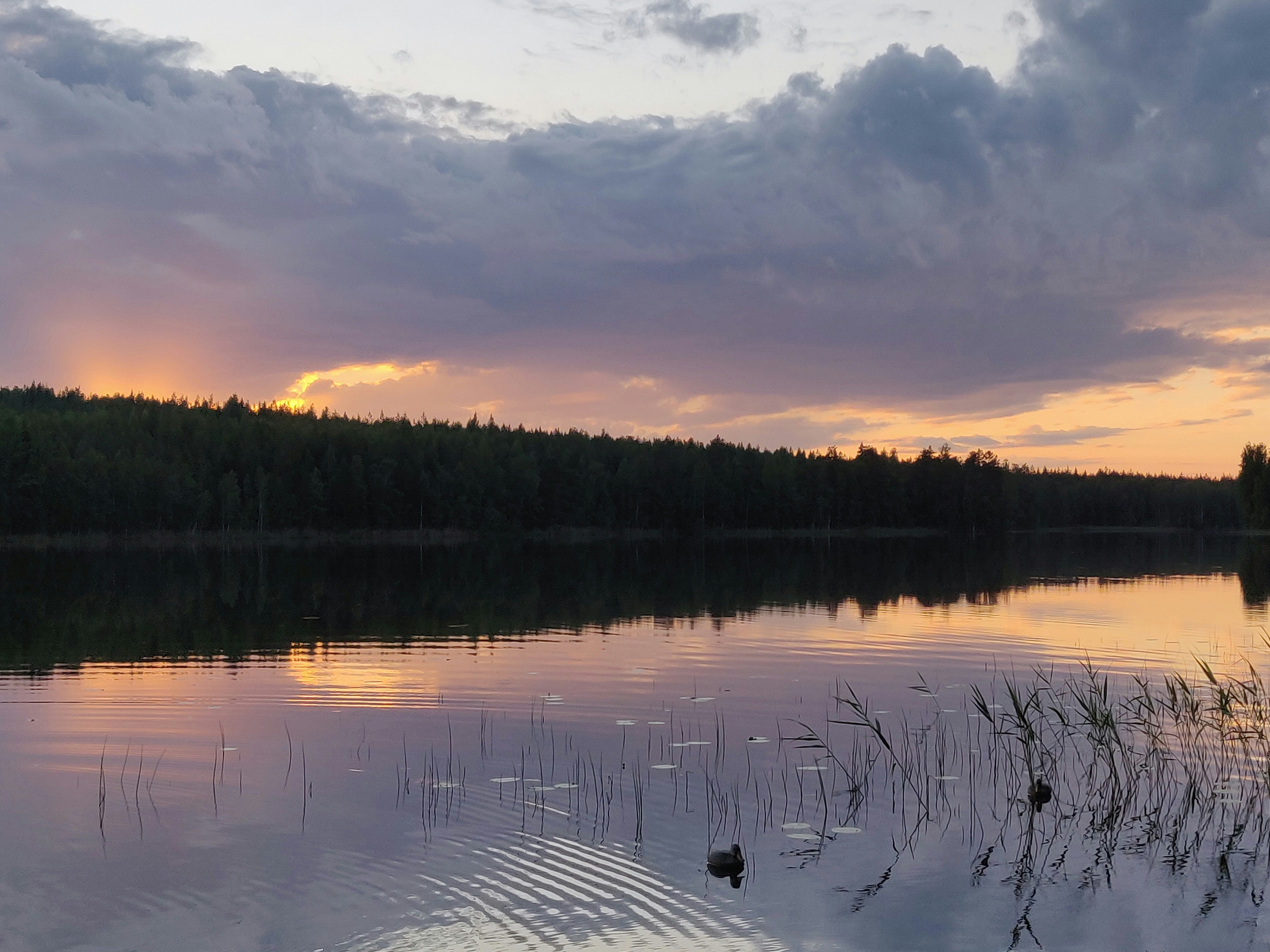 Elina Salminen (@elzicatlady) | Unsplash Photo Community