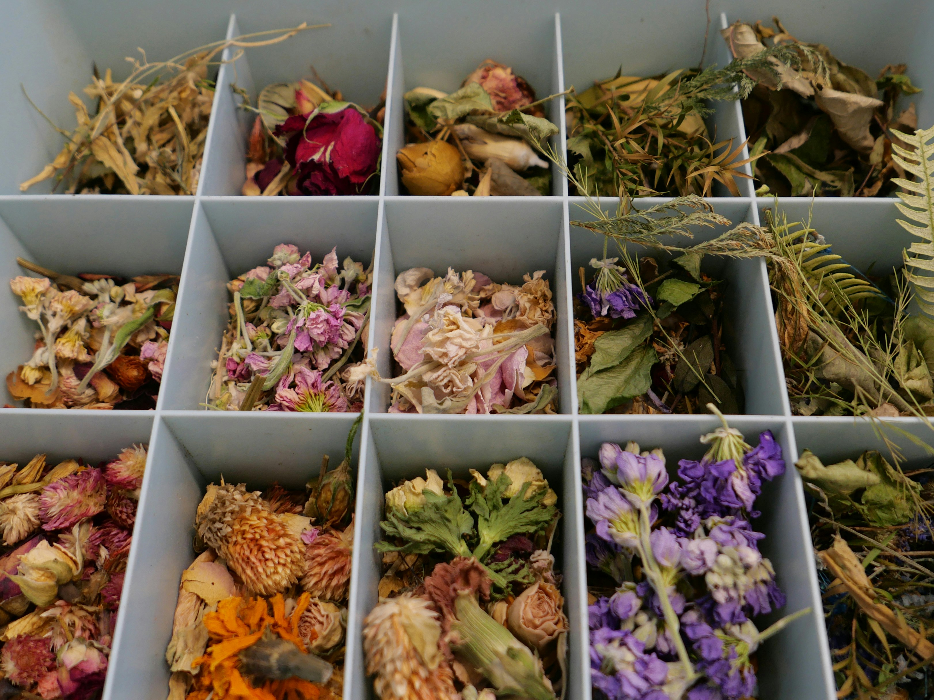 An organized collection of dried flowers and herbs arranged in a grid, showcasing a variety of colors and textures. The display highlights the beauty of nature's decay.