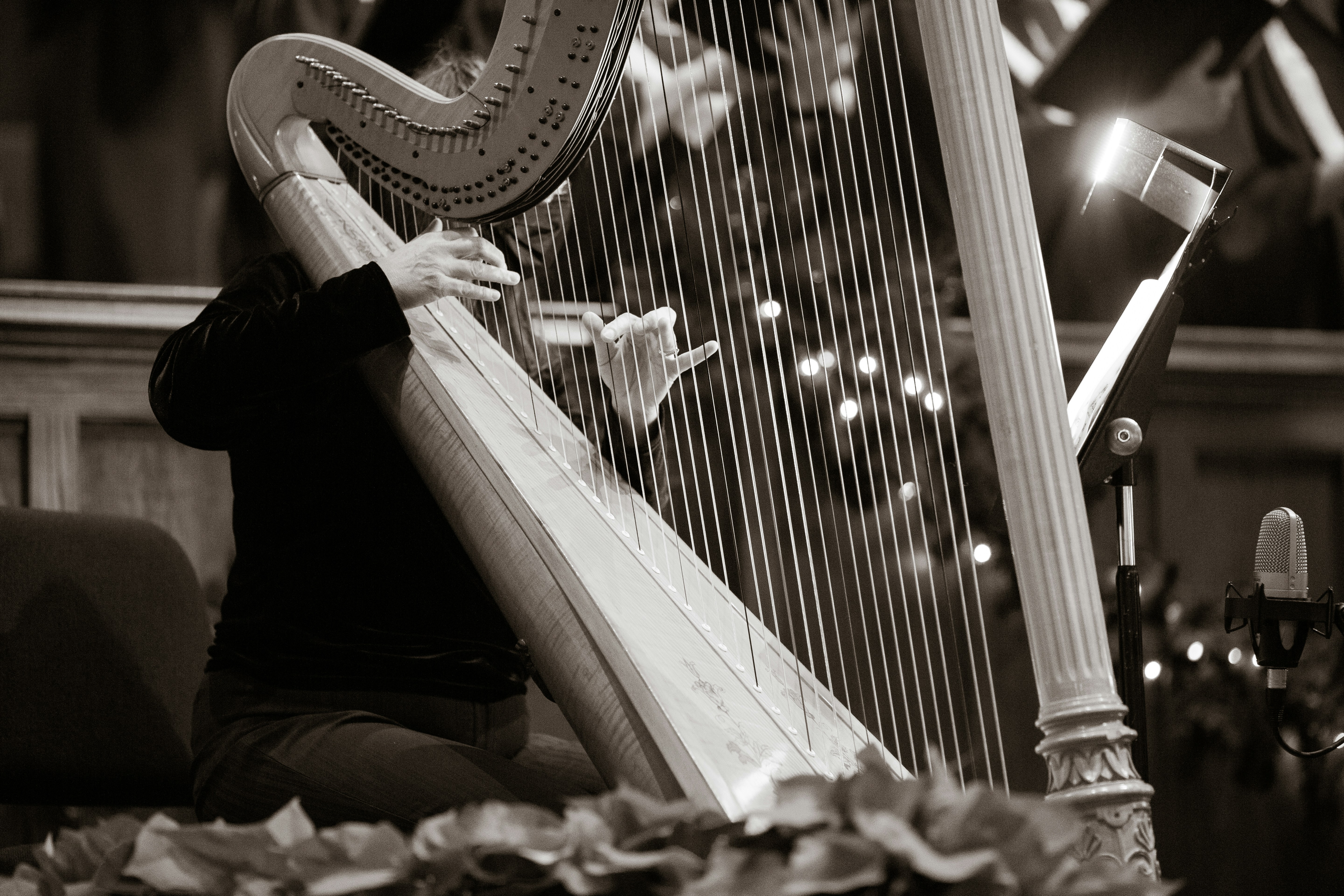 A woman playing a harp in front of a microphone photo – Free Harp Image ...