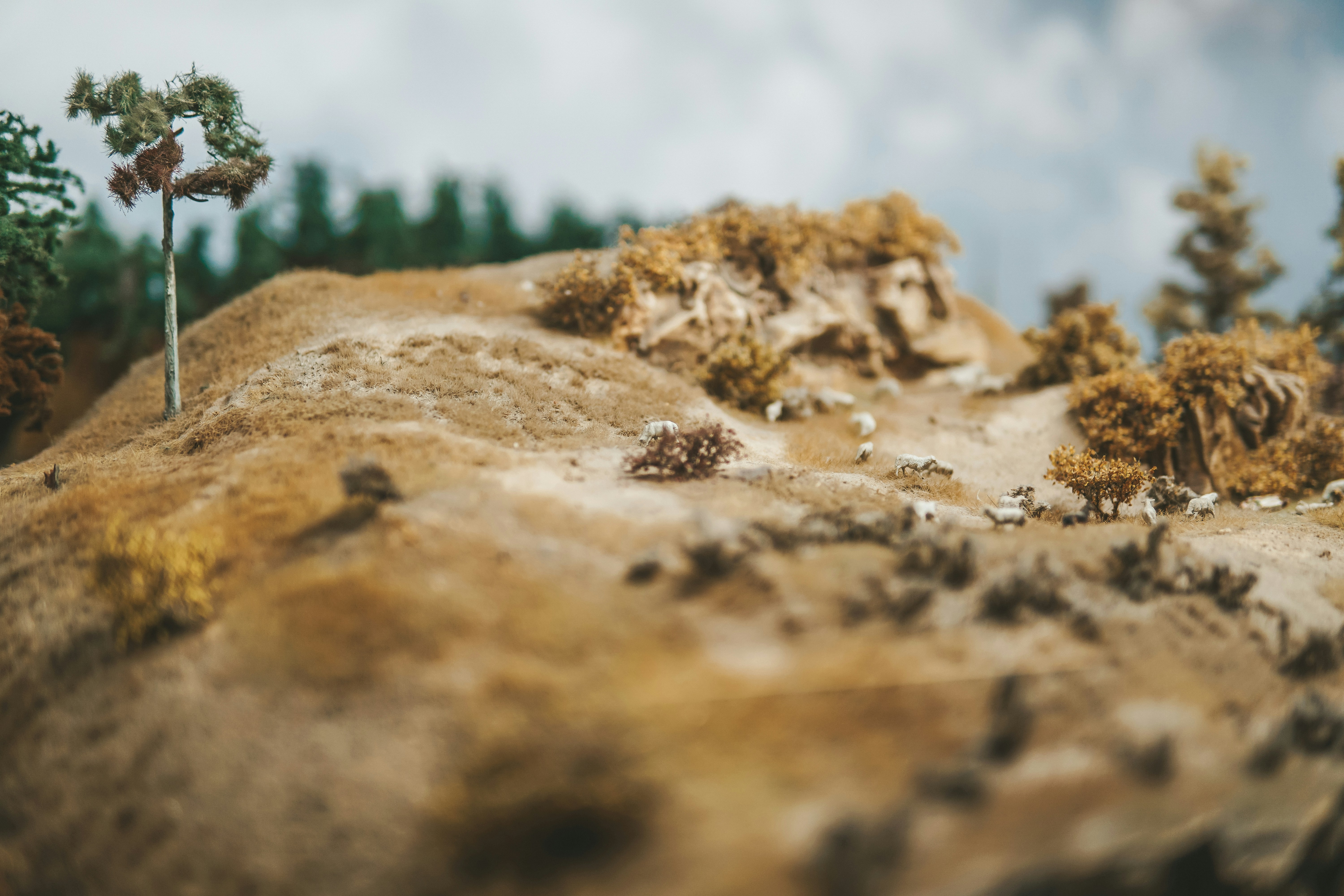 Deserted Rockscape: A Lone Tree among Dusty Hills